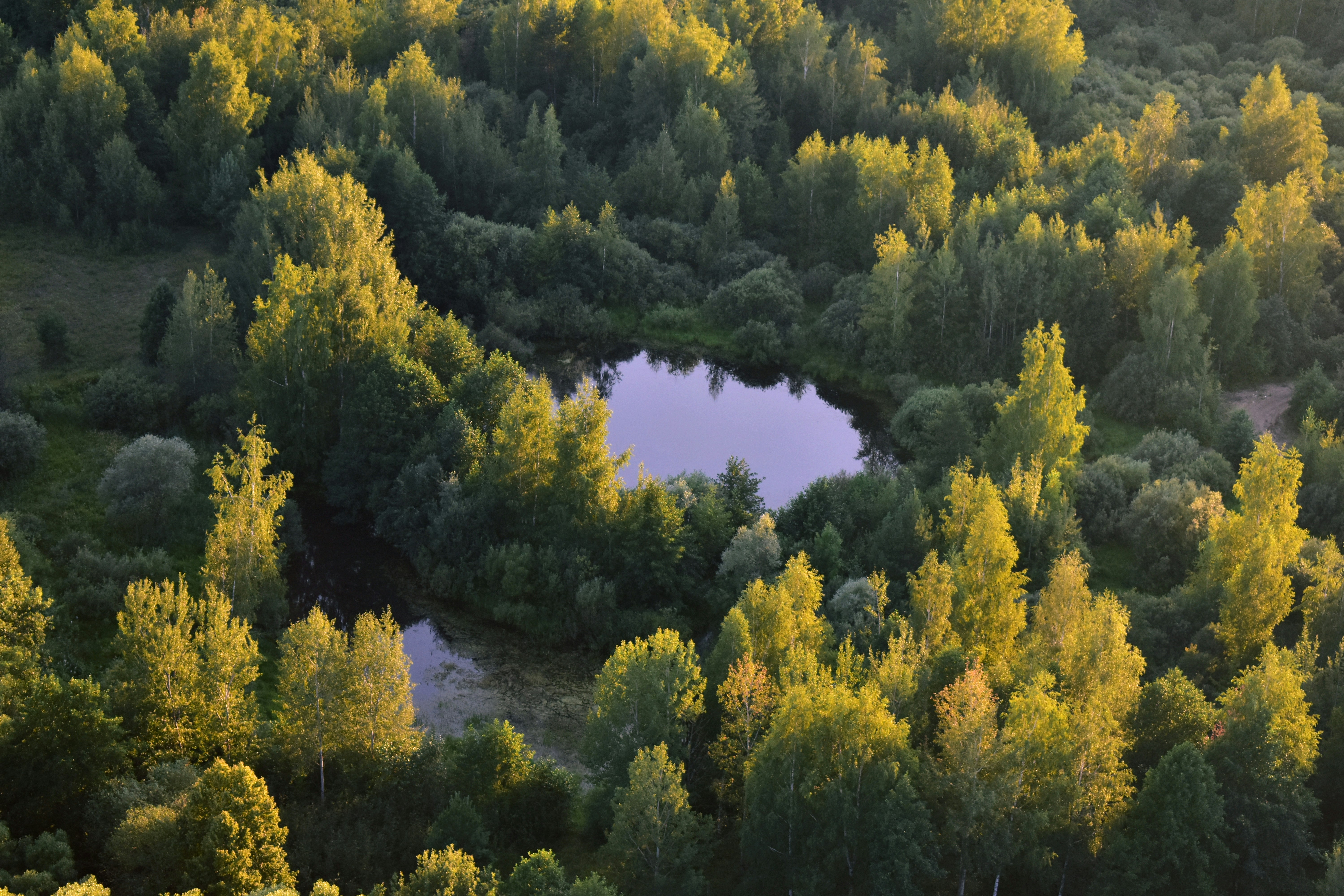 Photo by Polina Grishma with Nikon D3500