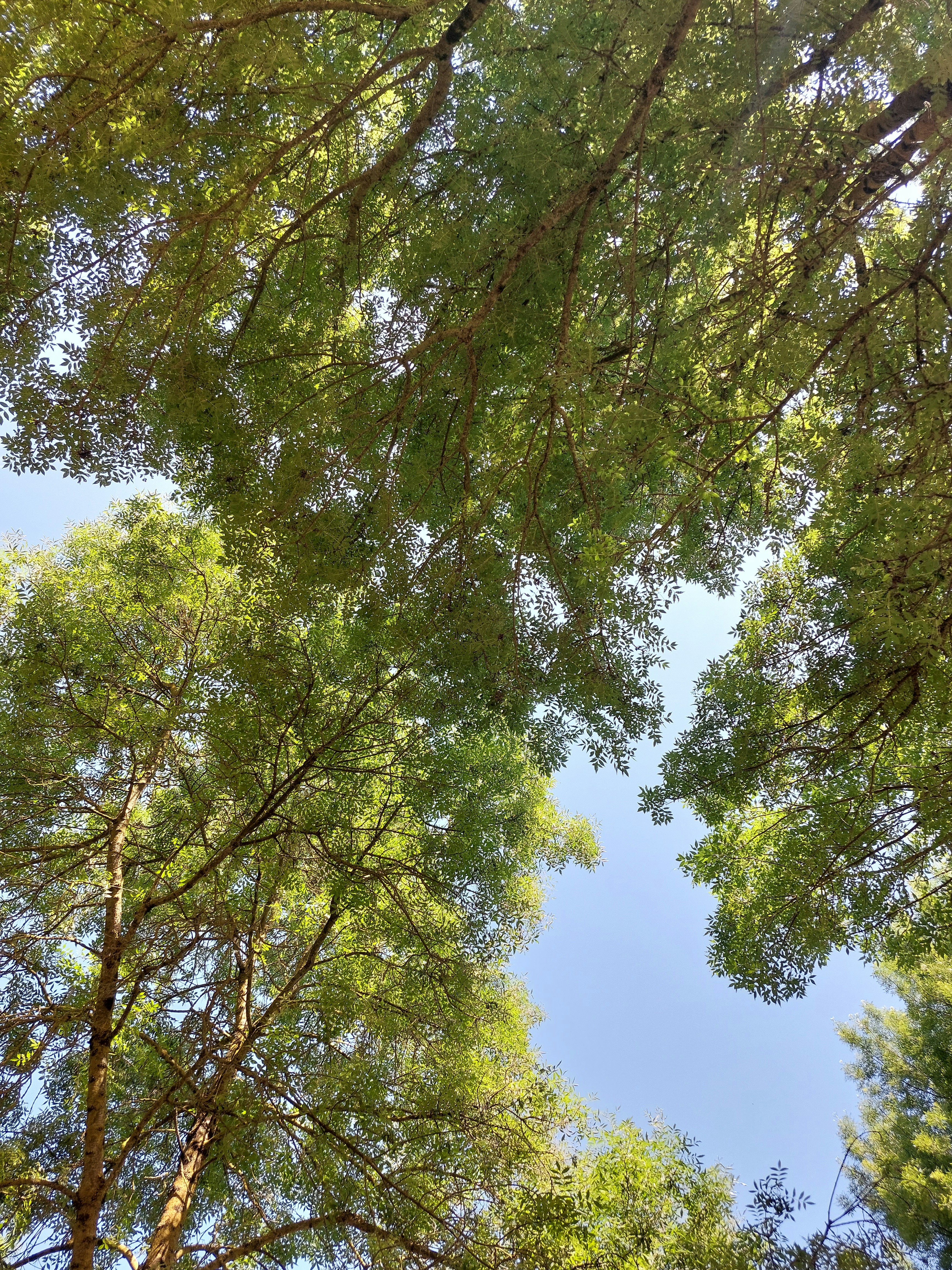 Photo by Clara PETIT with Samsung Galaxy A52s