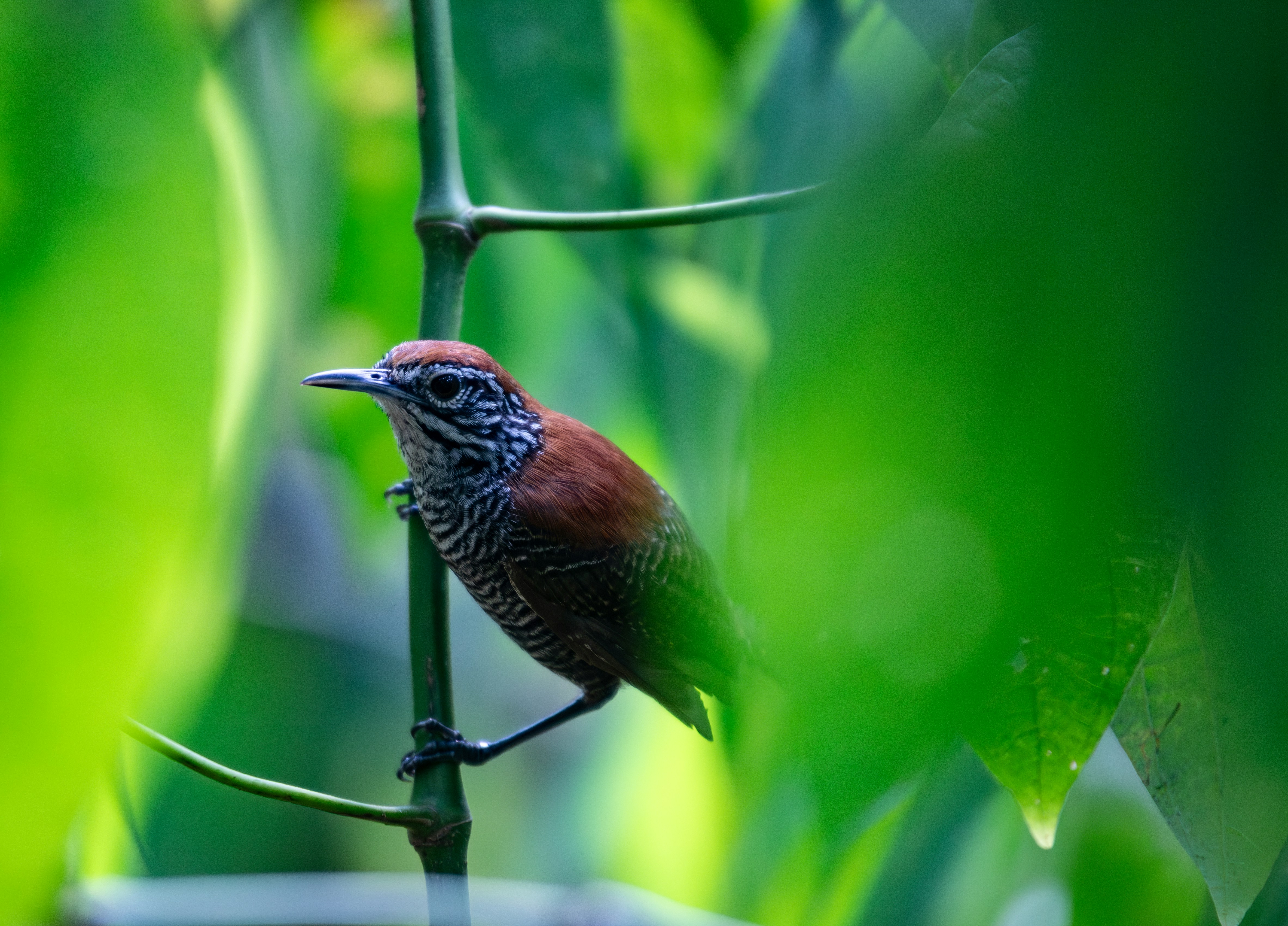 Photo by Bernd 📷 Dittrich with Canon EOS 6D Mark II