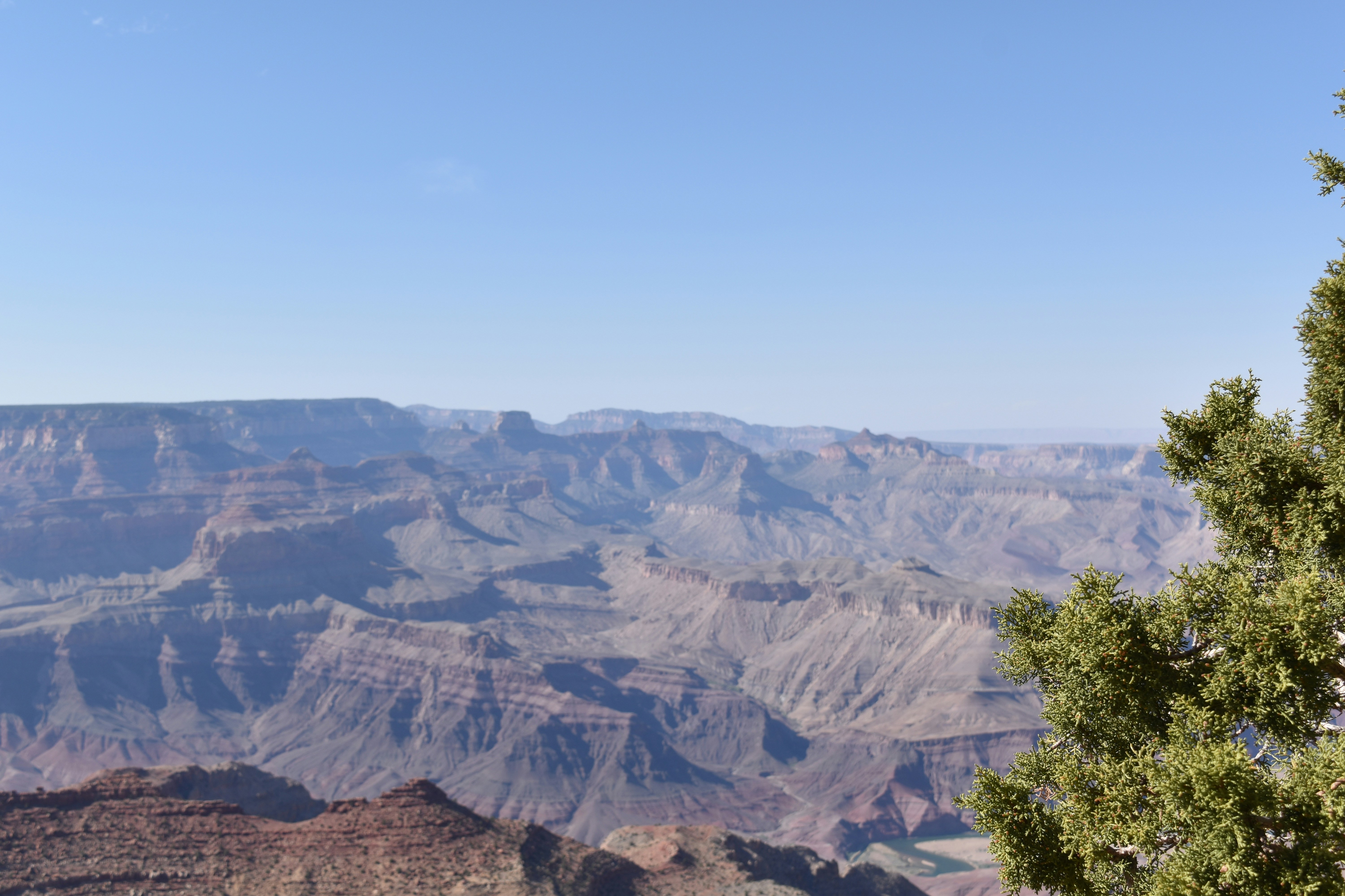 Rimline Echoes: Sunlit Strata Across the Grand Canyon
