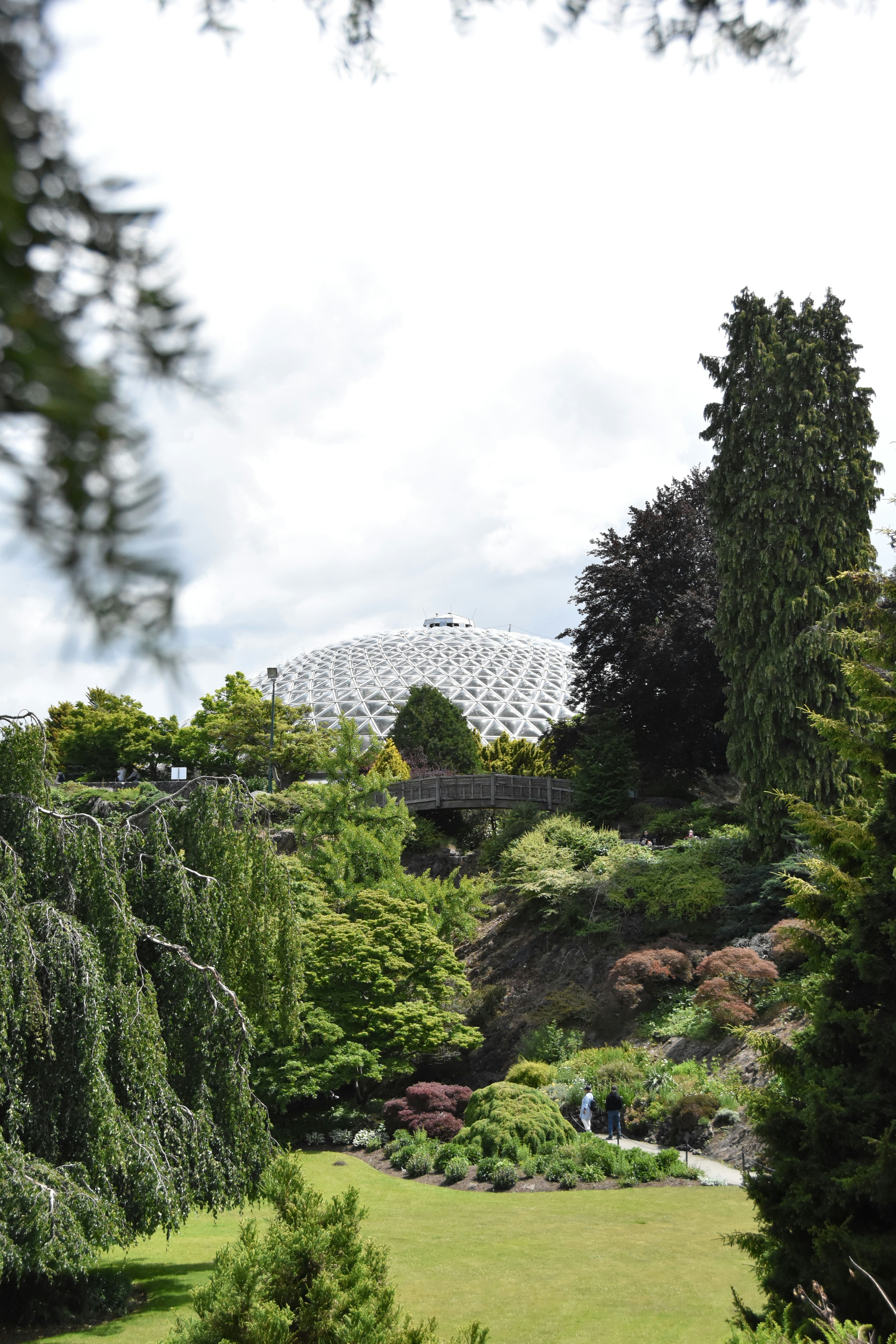 Geodesic Dome Looms Over a Quiet Botanical Garden