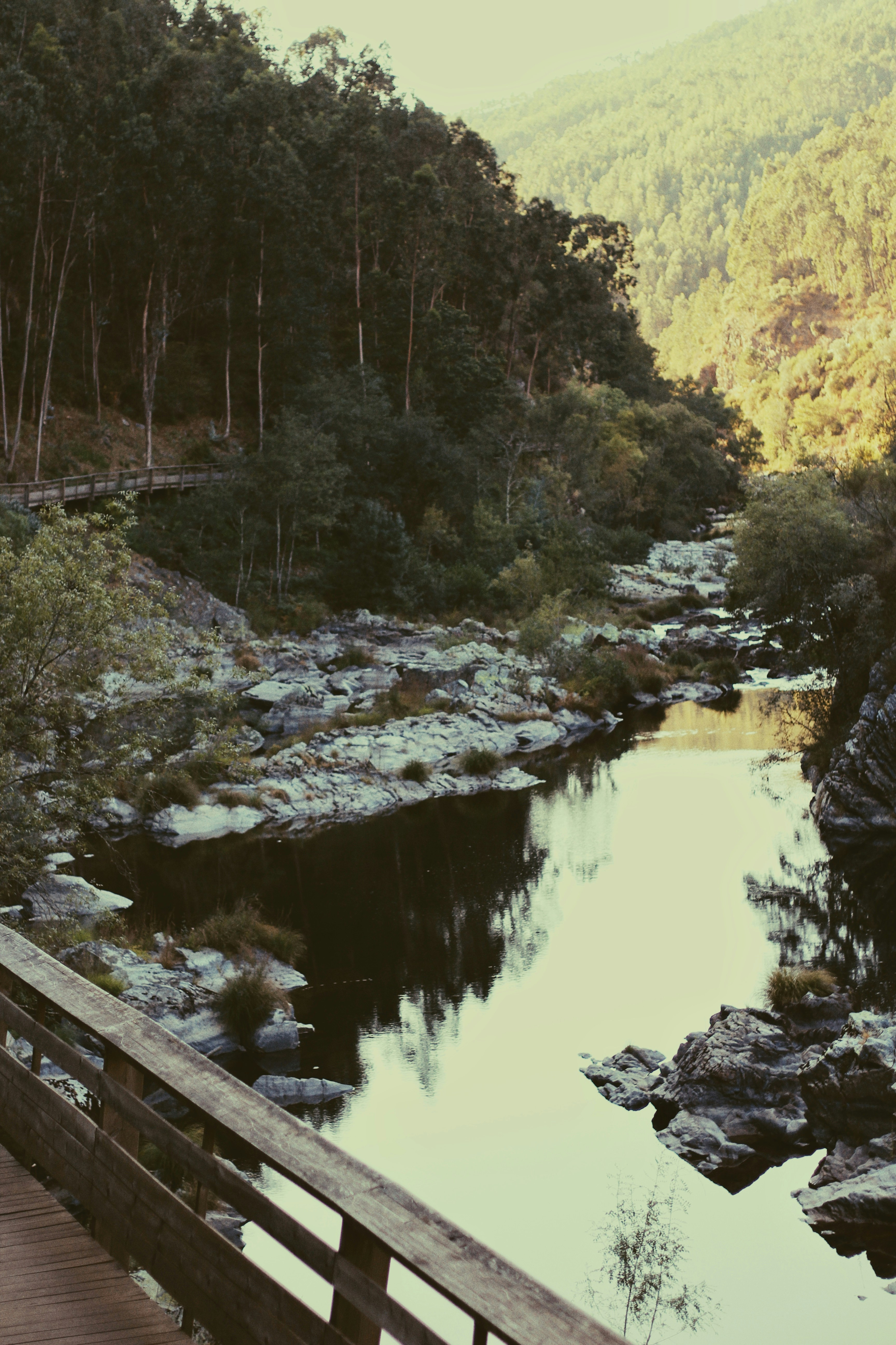Golden Hour River Gorge: A Wooden Boardwalk Framing a Reflective Stream
