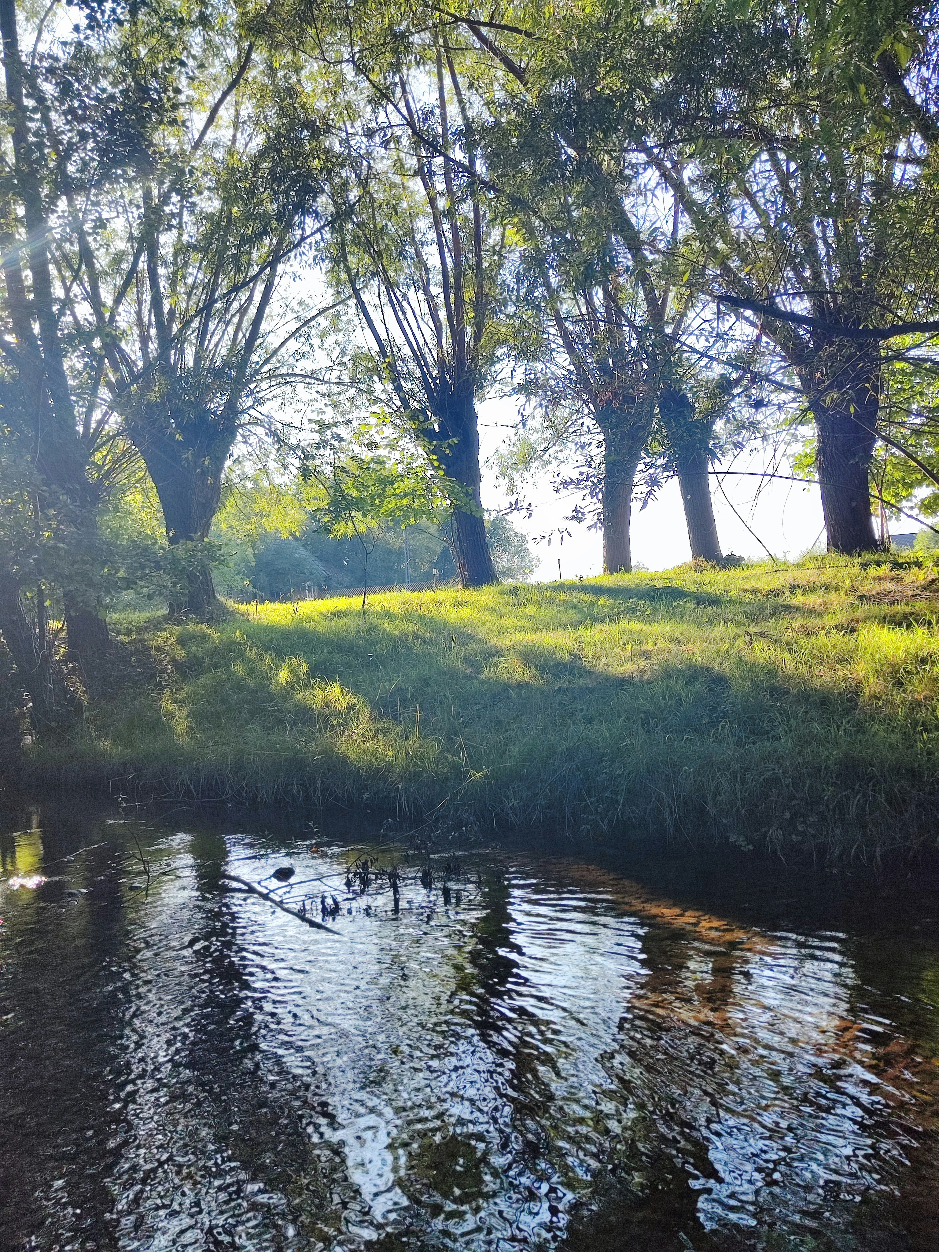 countryside, Romania, stream