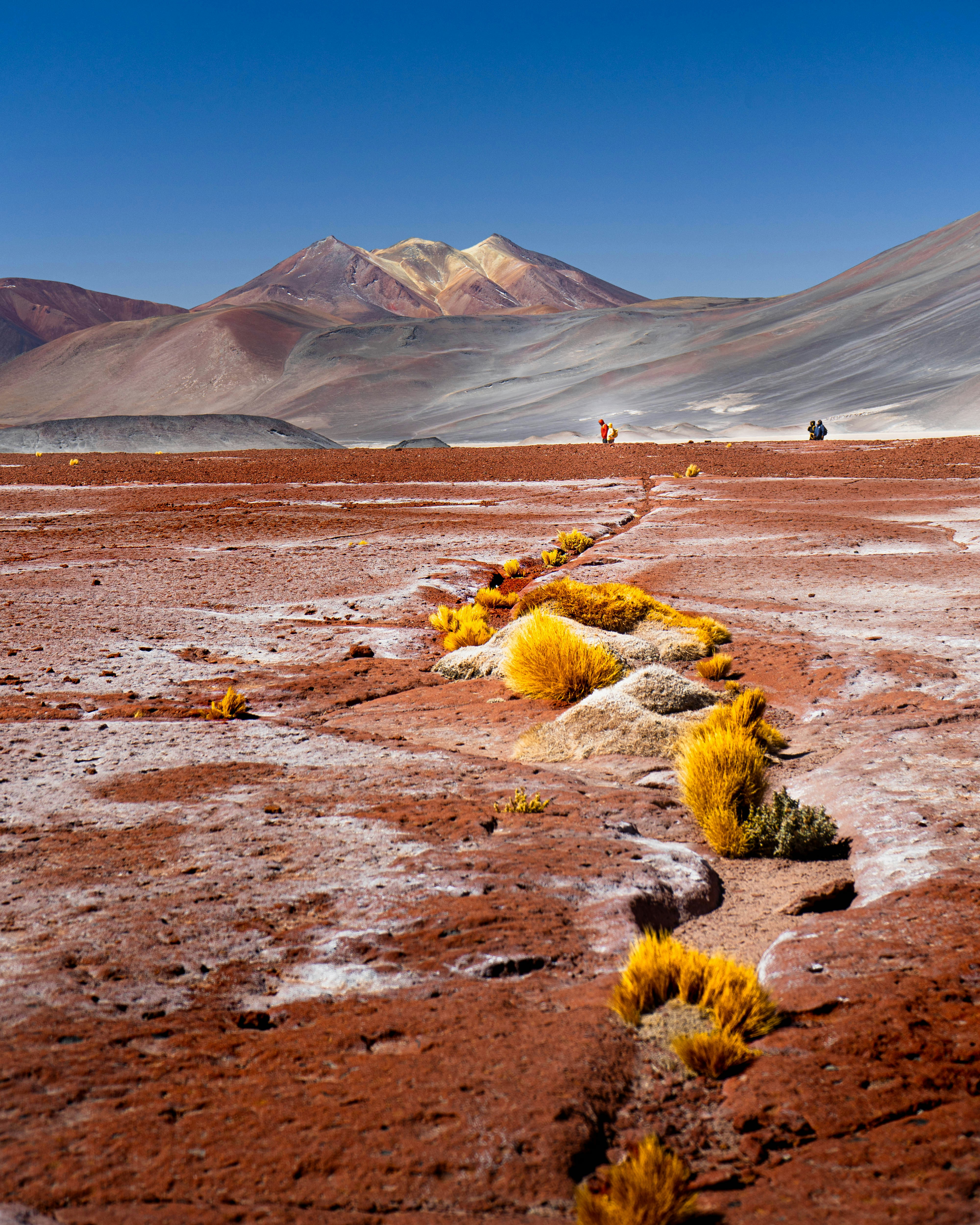 Photo by Mirko Rebolledo with Sony Alpha 7 II