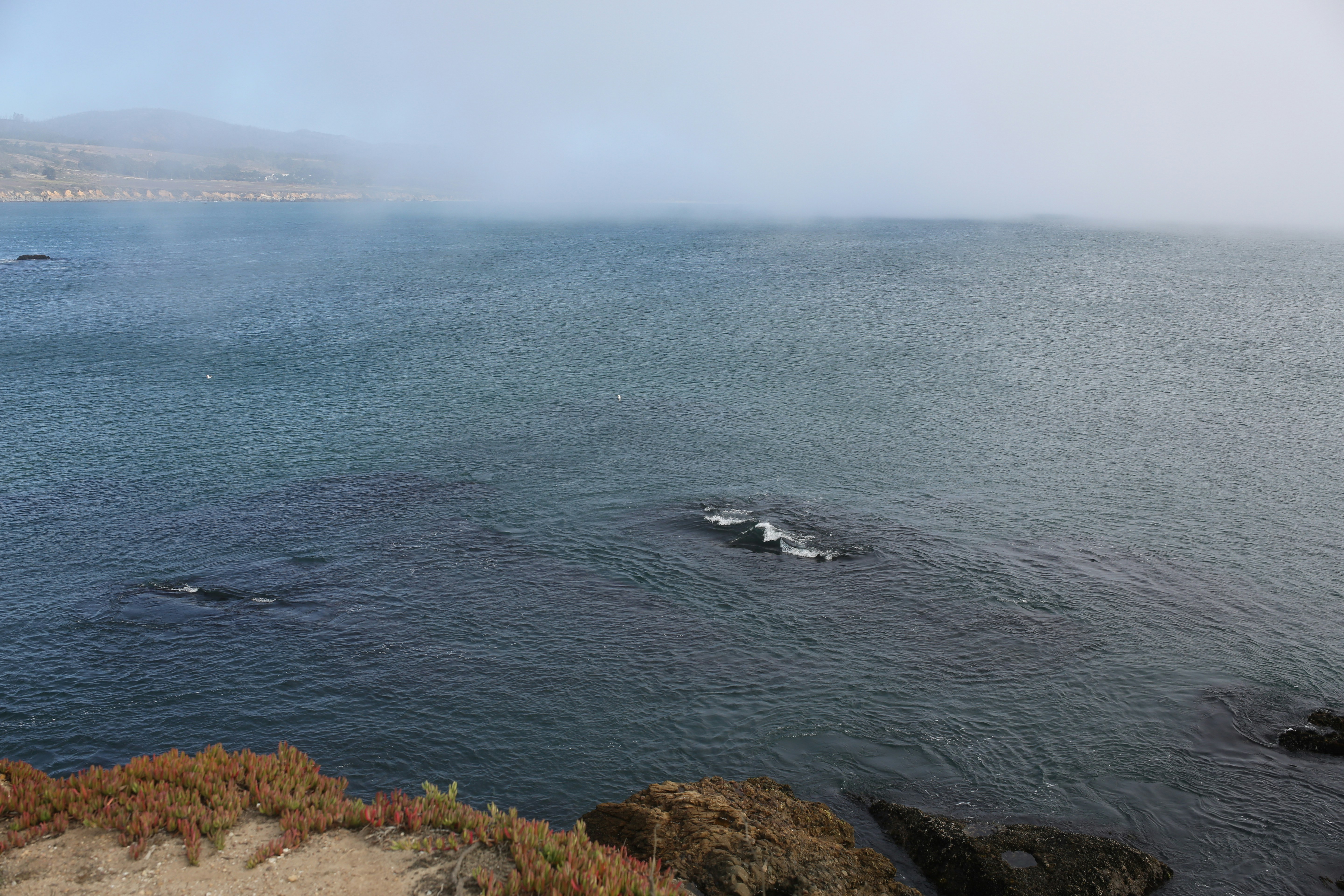 Coastal Horizon Quietly Surges