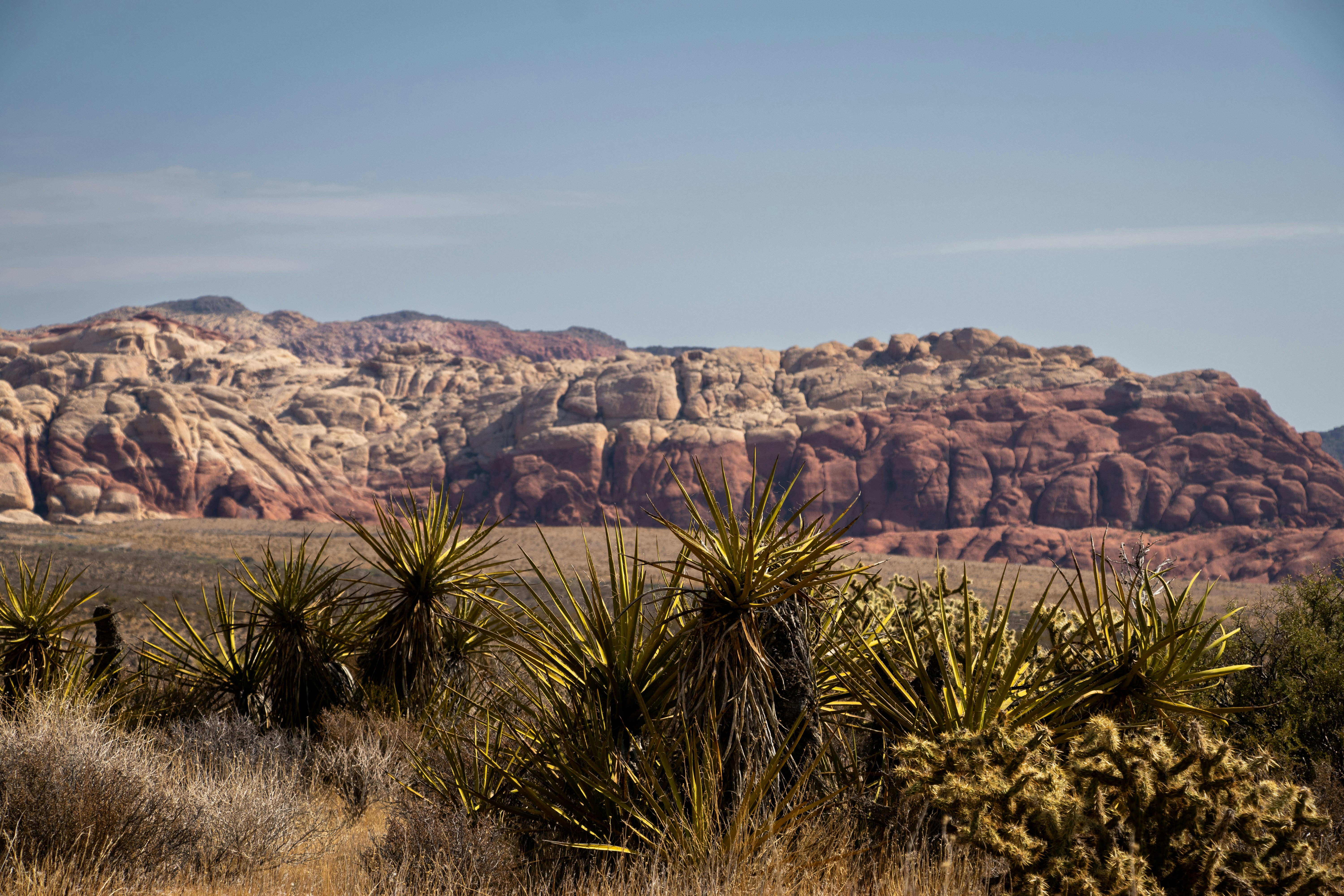 Desert Flora at the Foot of Layered Sandstone Peaks