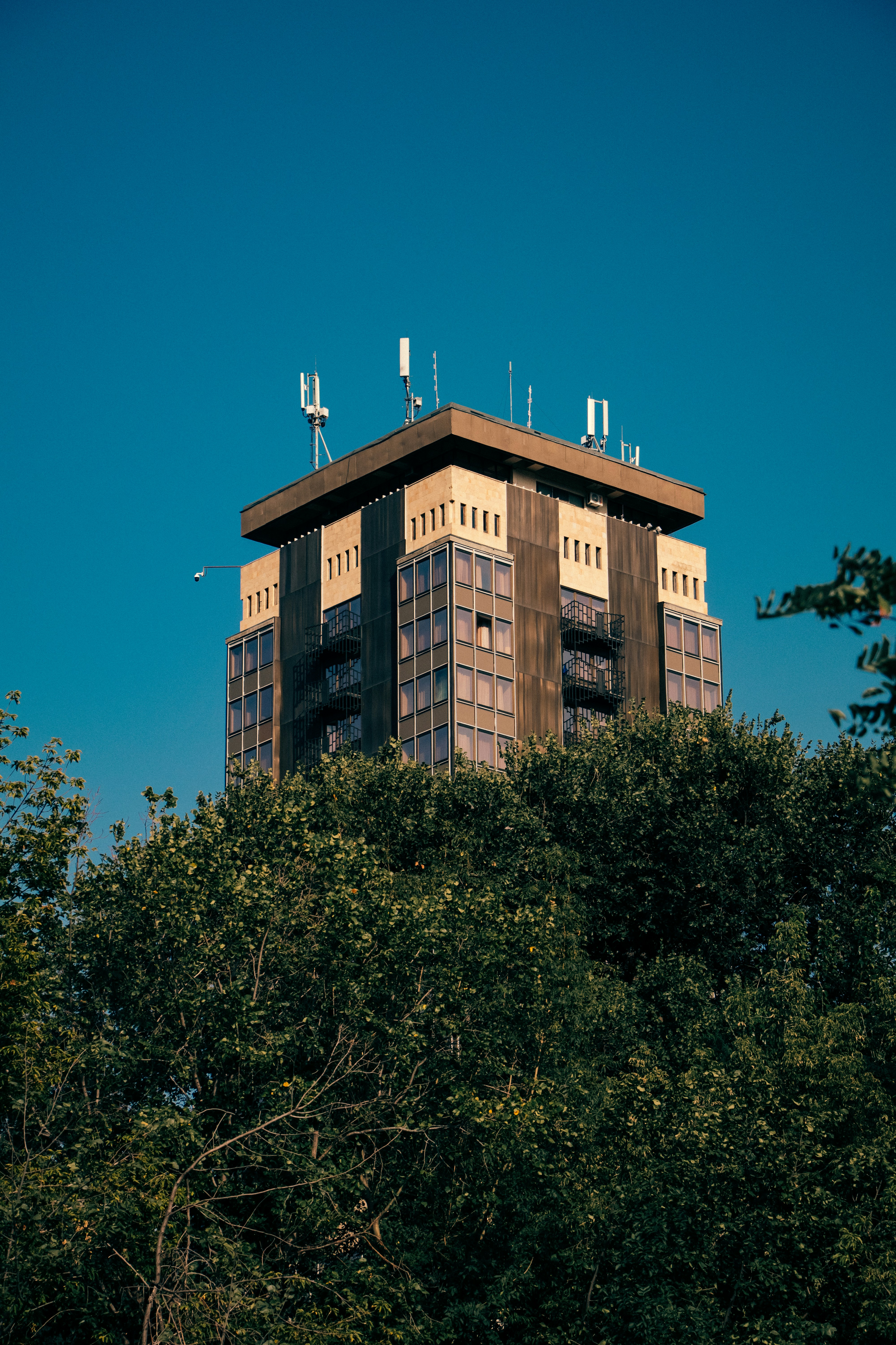 Tower Above the Canopy: A Concrete Beacon Against a Cerulean Sky
