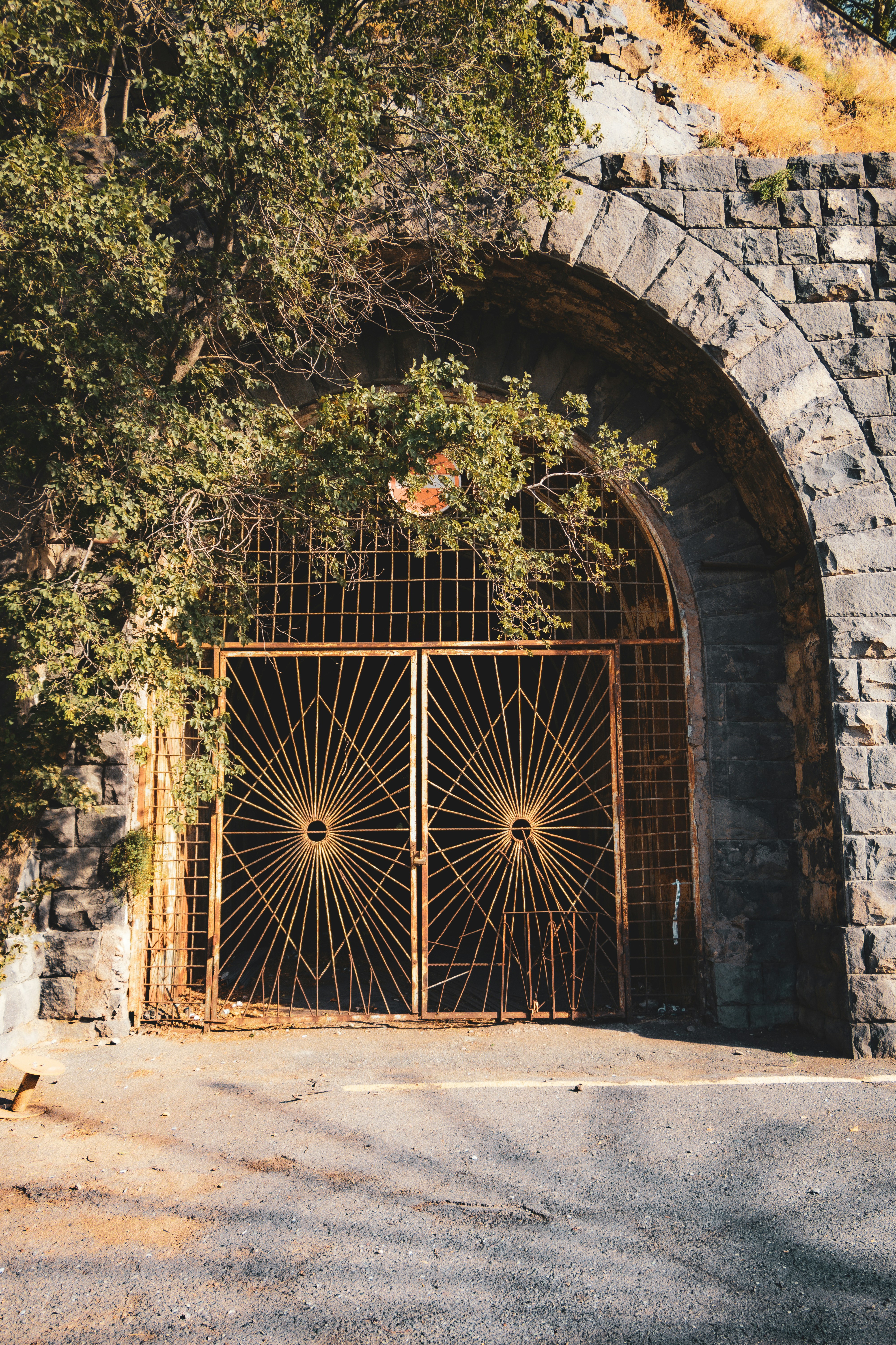 Ivy-Crowned Archway Framing Radiant Radial Gates