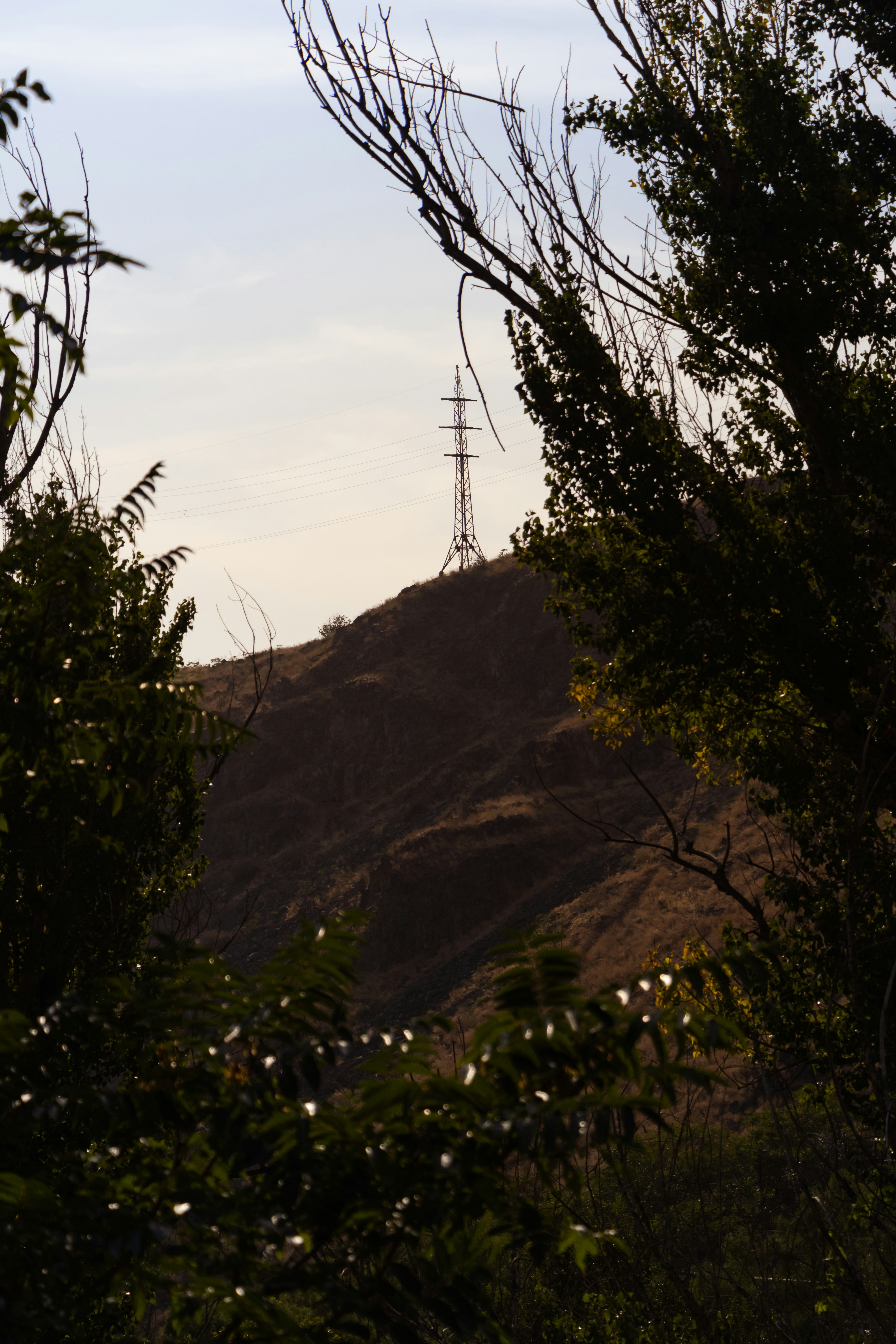 Rising Hill silhouette with transmission towers framed by foliage