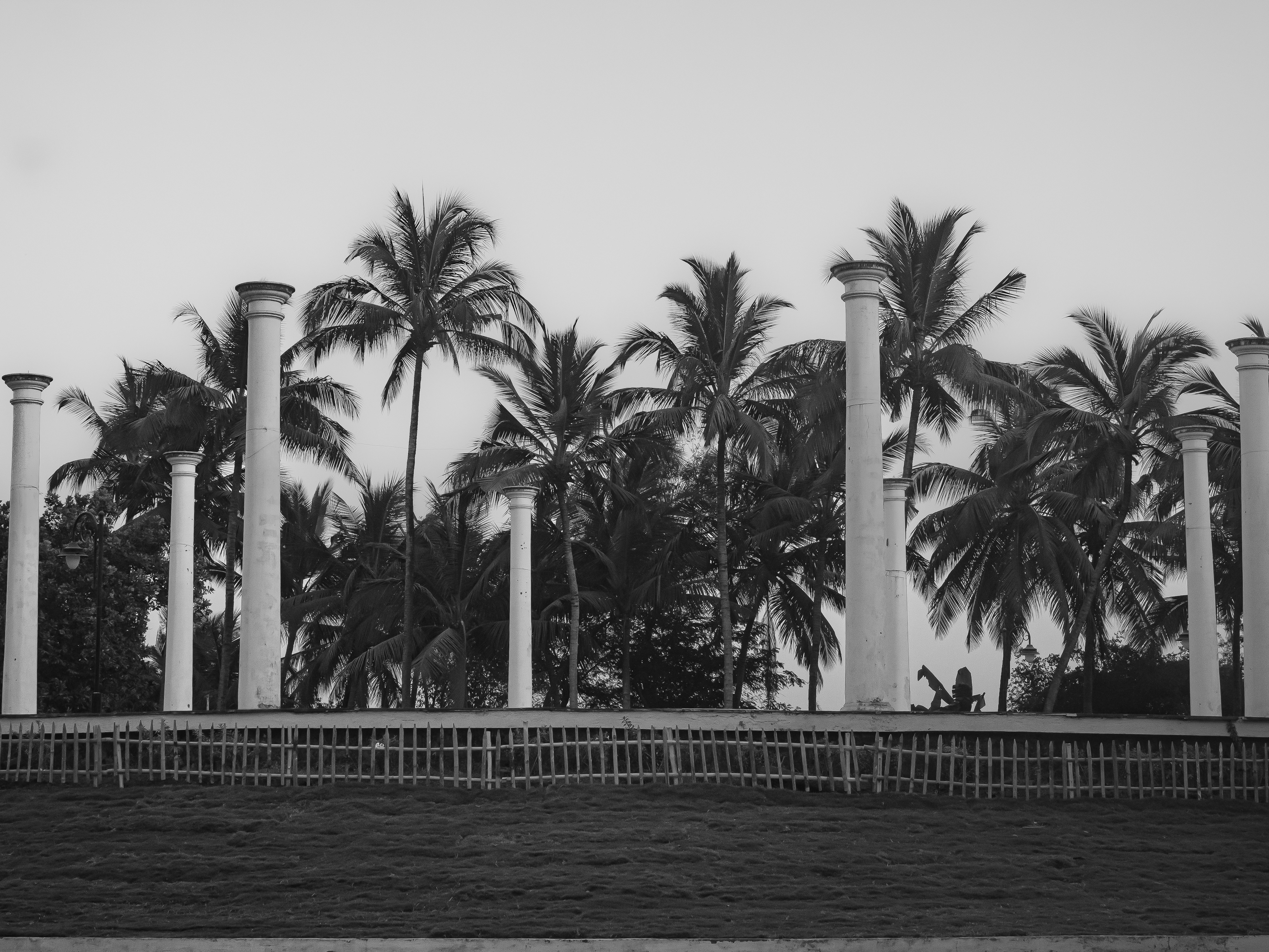 Tall palm trees stand against a backdrop of weathered columns, evoking a sense of nostalgia and history. The monochrome palette enhances the timeless atmosphere.