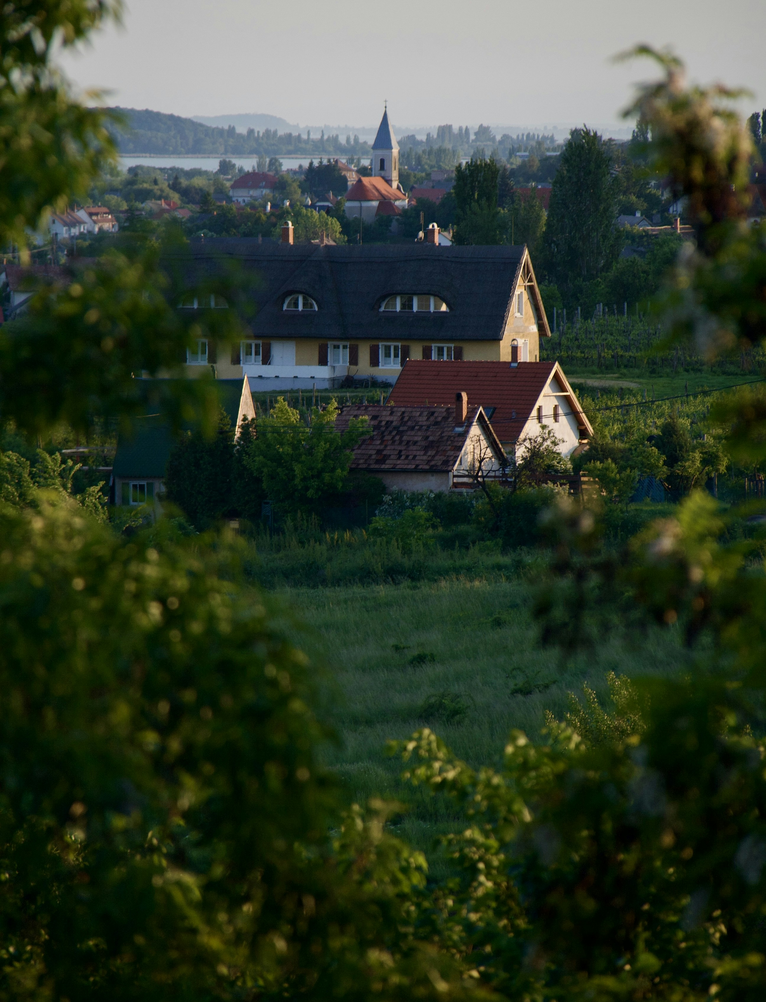 Hallowed Spire Rising Over a Quiet Village