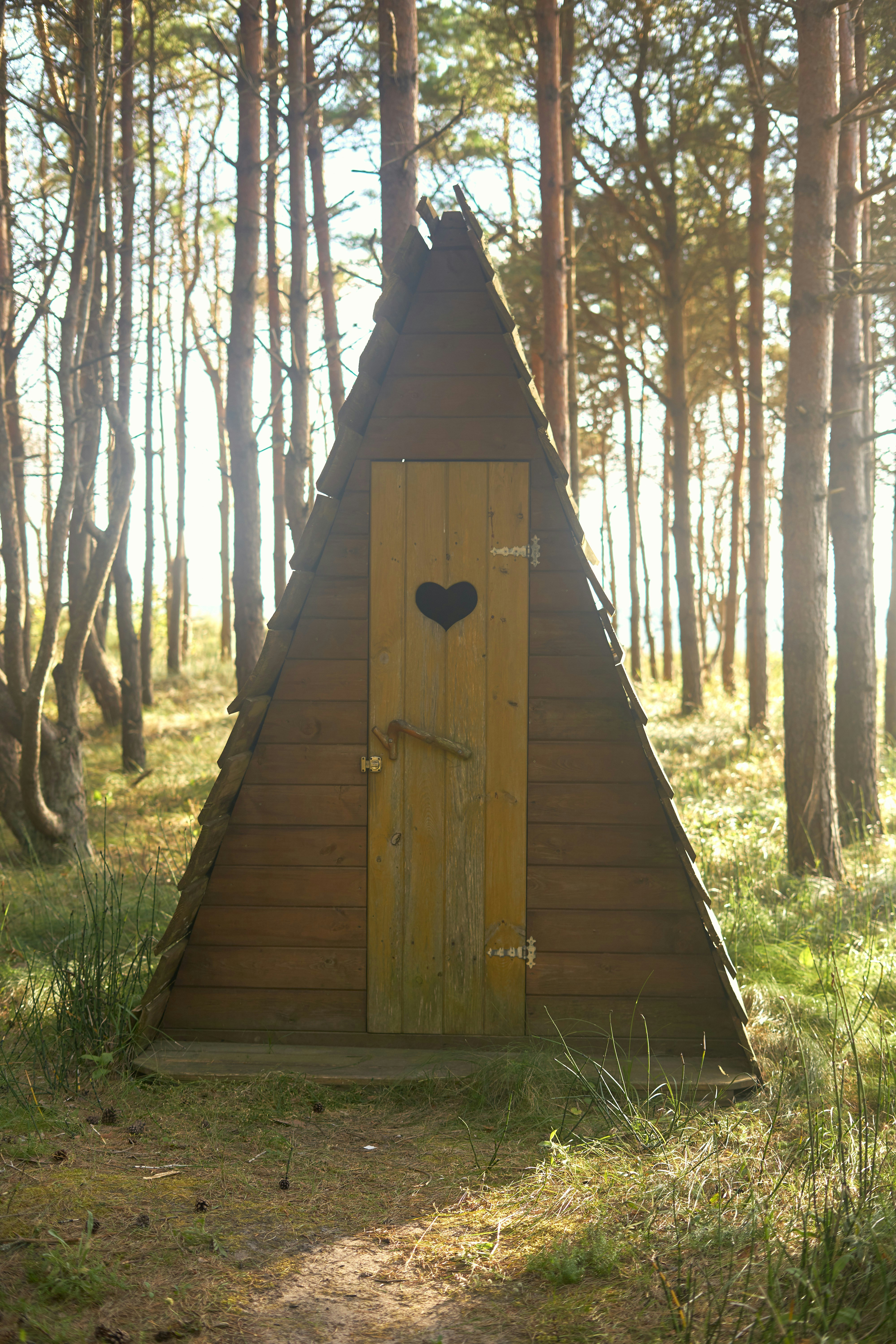 A Heart in the Woods: A Wooden A-Frame Shelter at Dappled Dawn