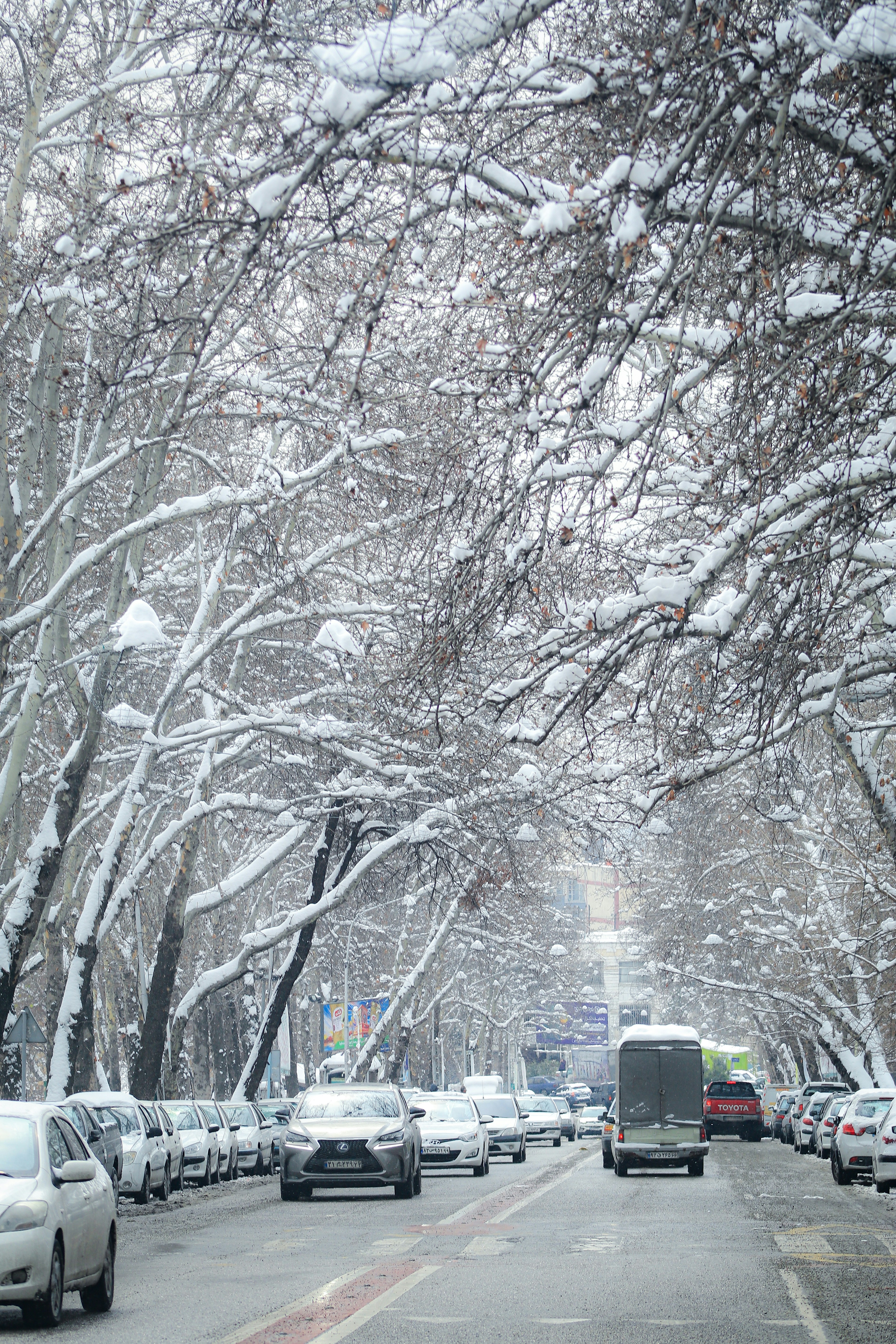 Snowy street in Tehran