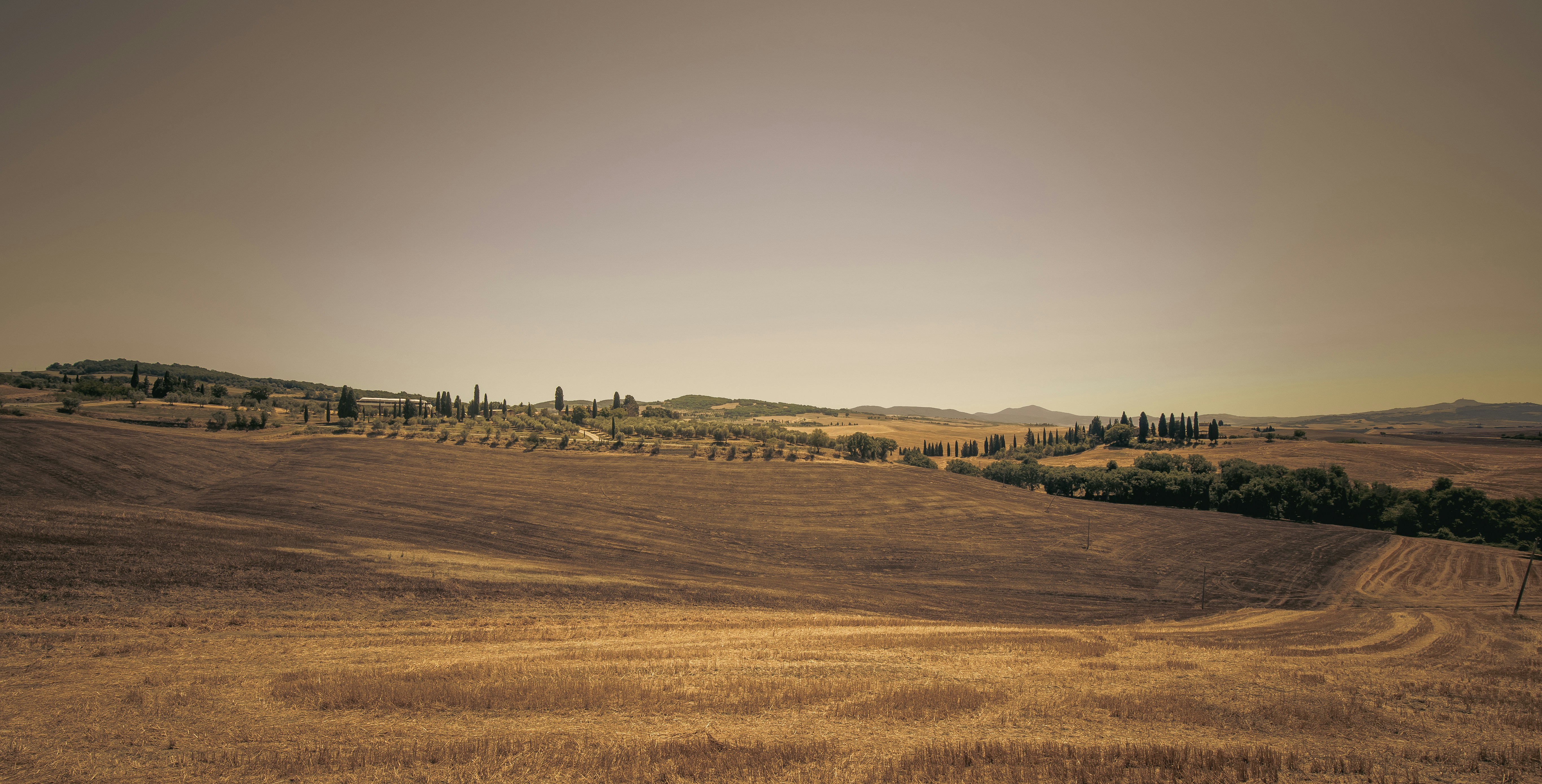 A large field of grass with trees in the distance photo – Free ...