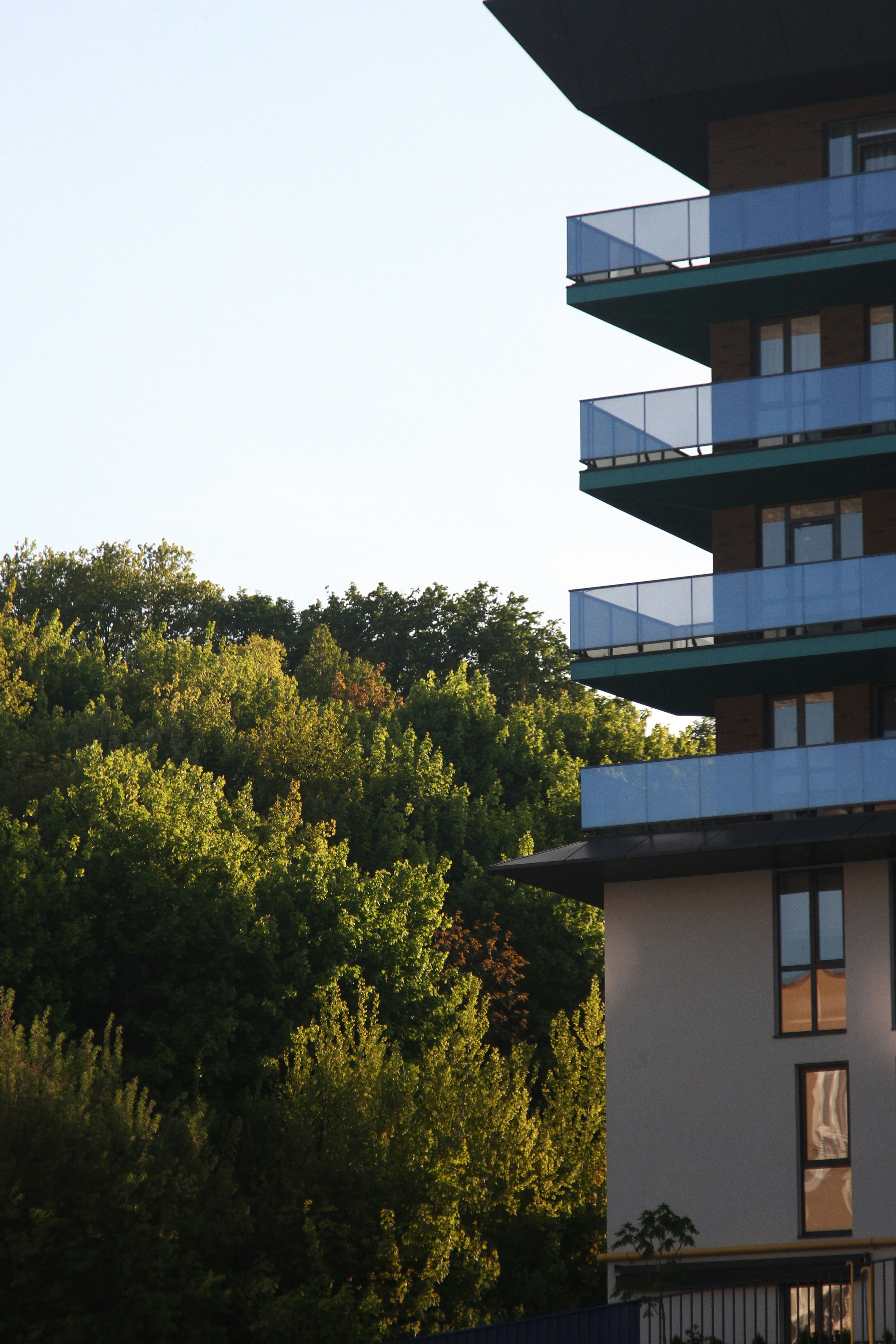 Stacked Glass Balconies Framing a Quiet Tree-Line