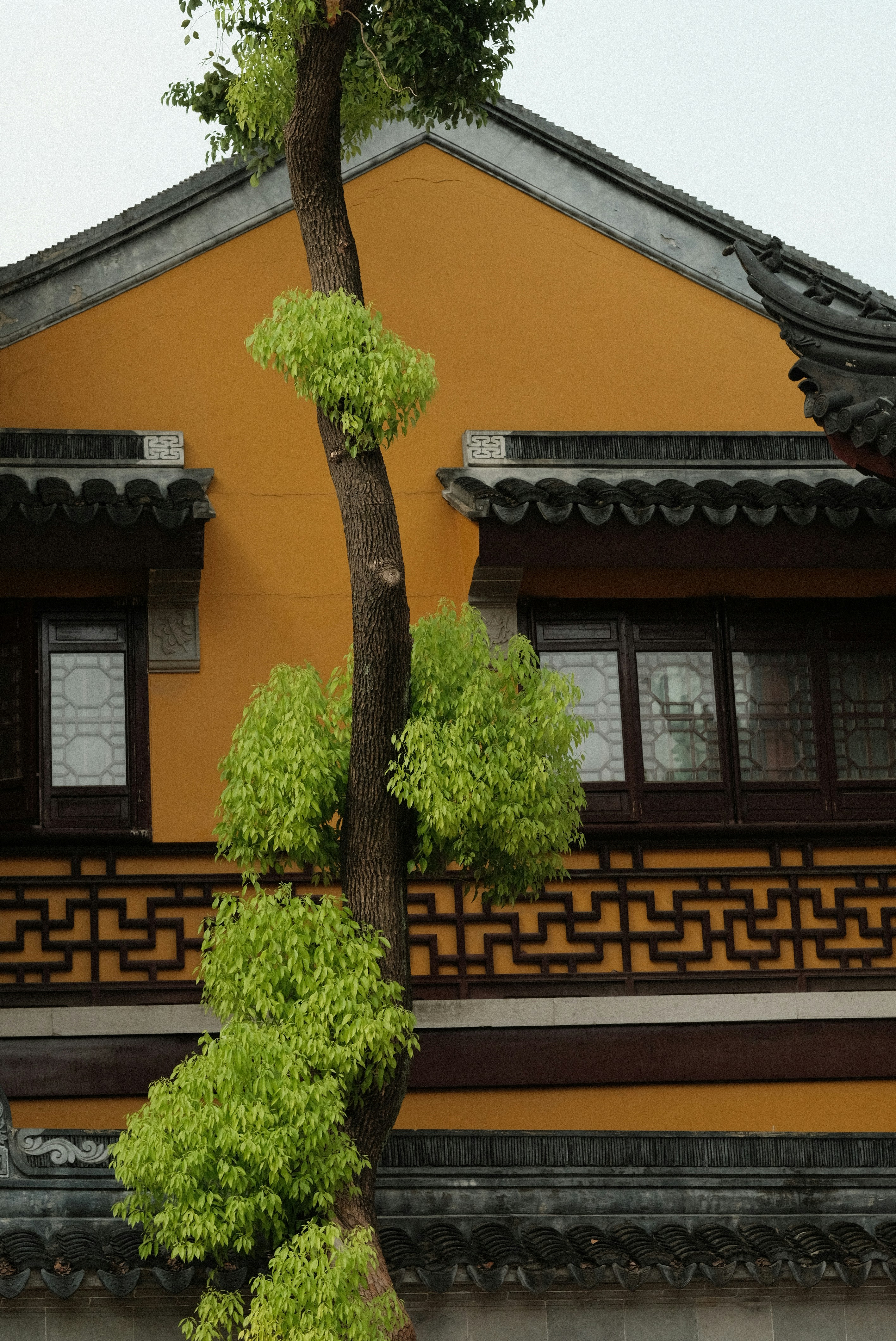 Photo by Dominic Kurniawan Suryaputra with Fujifilm X-T2