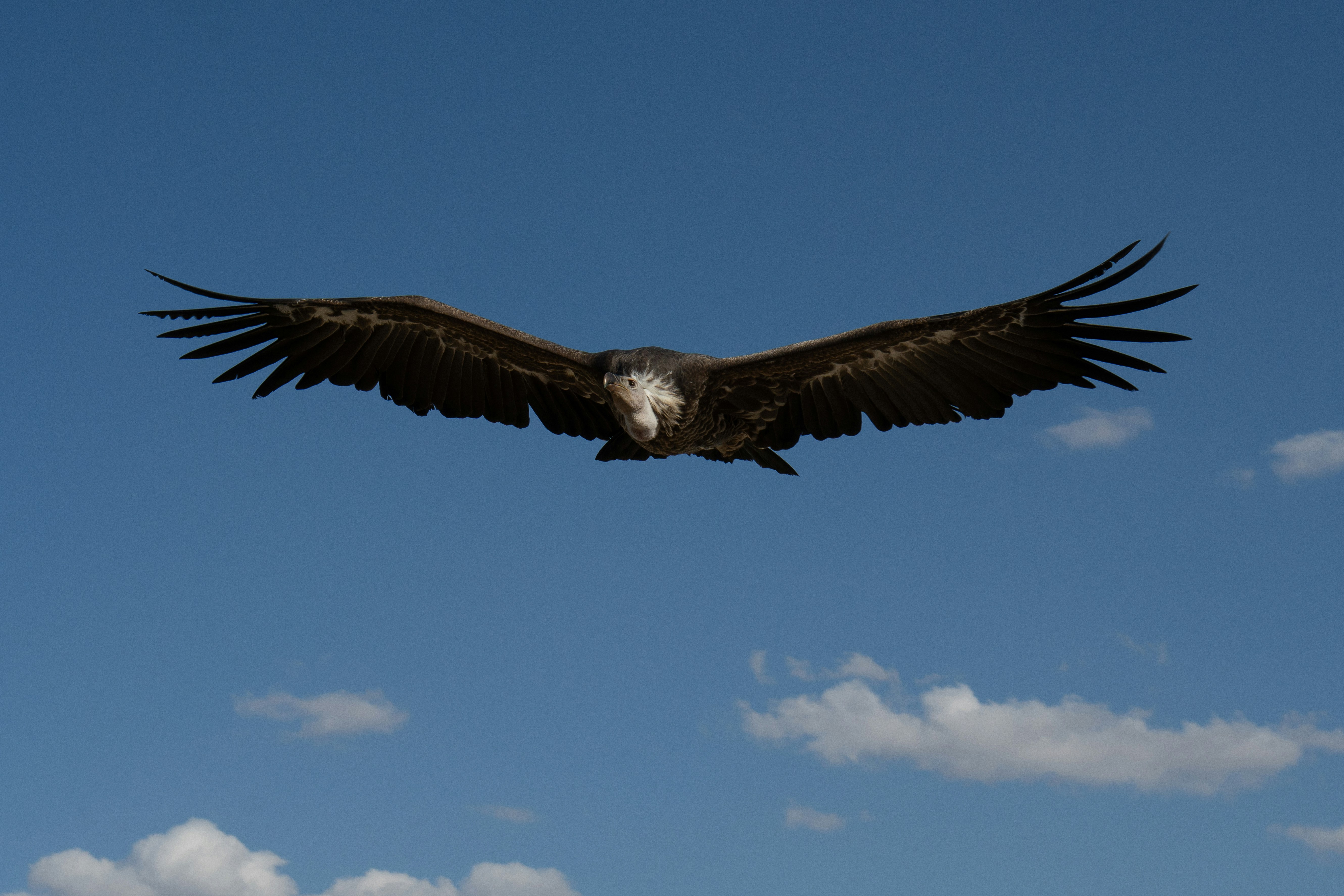 Photo by Victor Rosario with Sony Alpha 6700