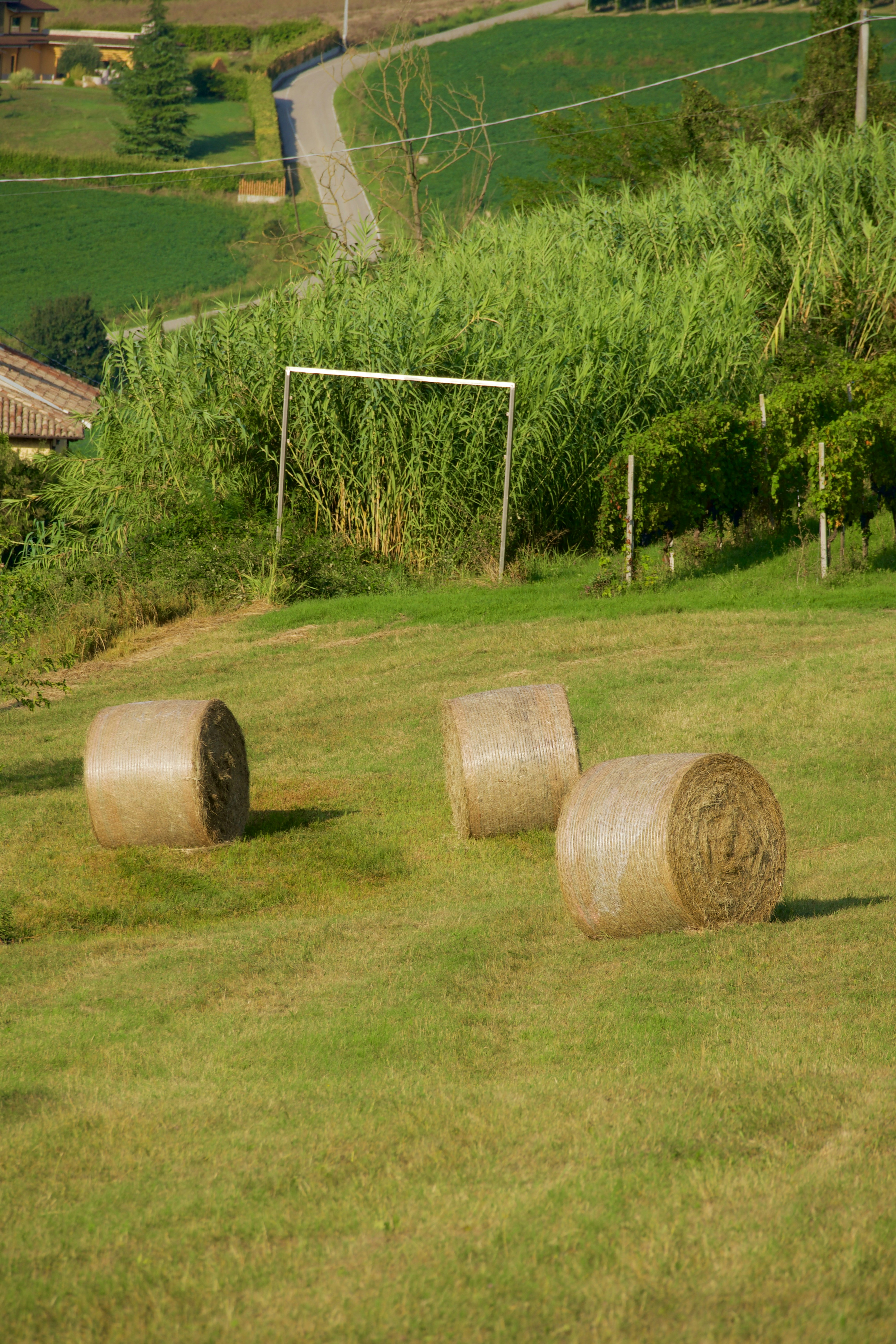 Three Sunlit Hay Bales Mark a Quiet Hillland Meadow