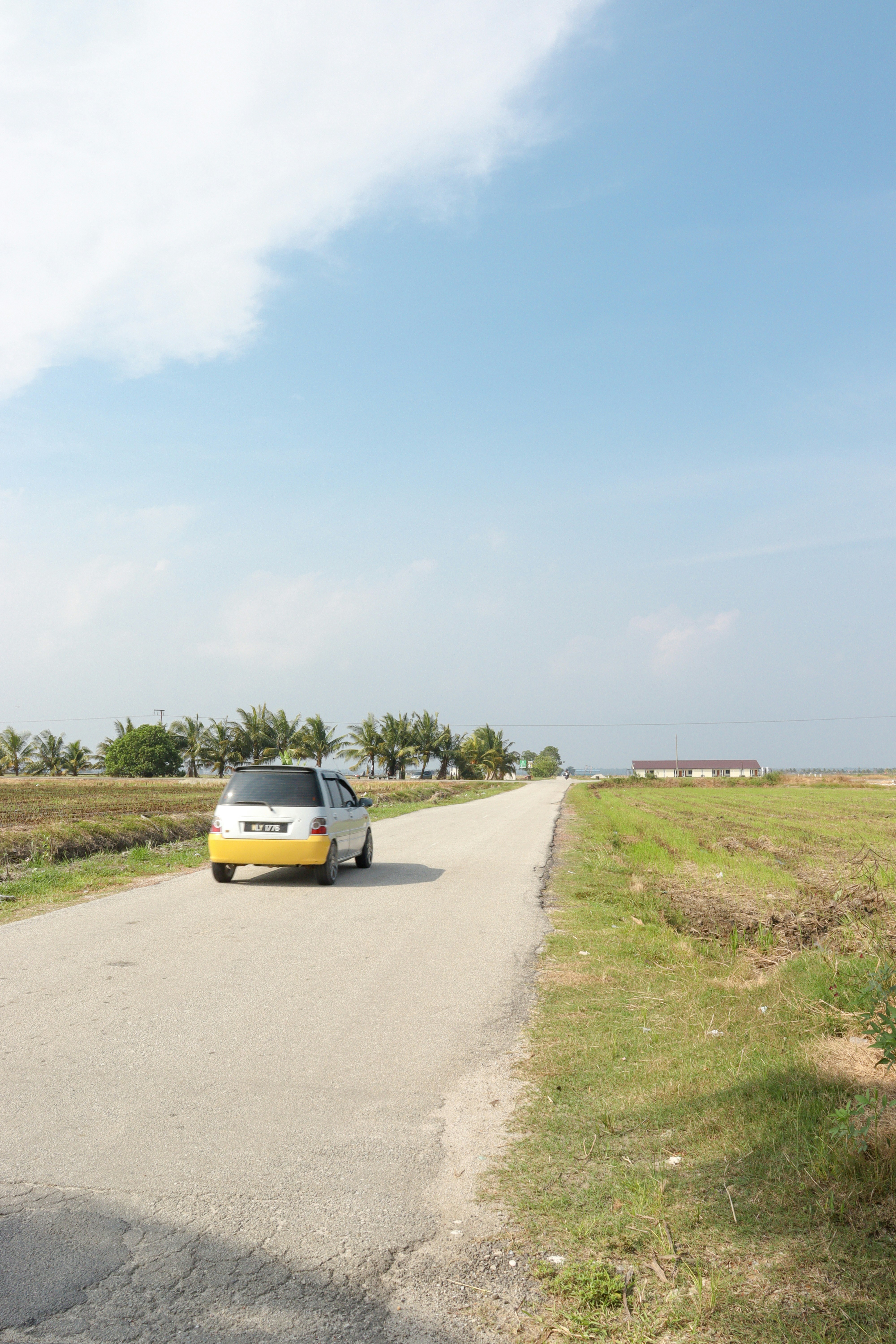 Solitary Drive Through the Countryside