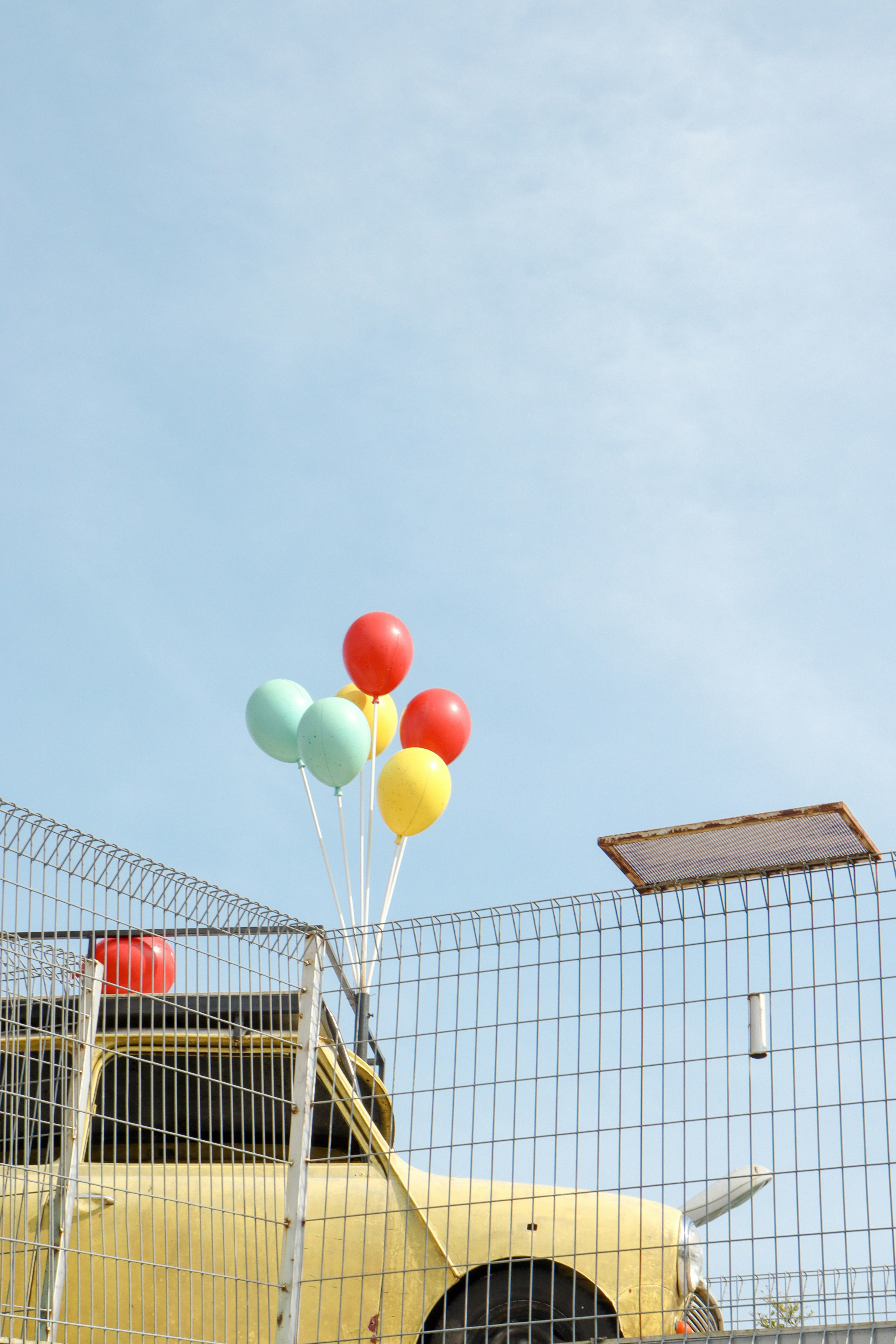 Balloon Bouquet Over a Sunlit Yellow Bus