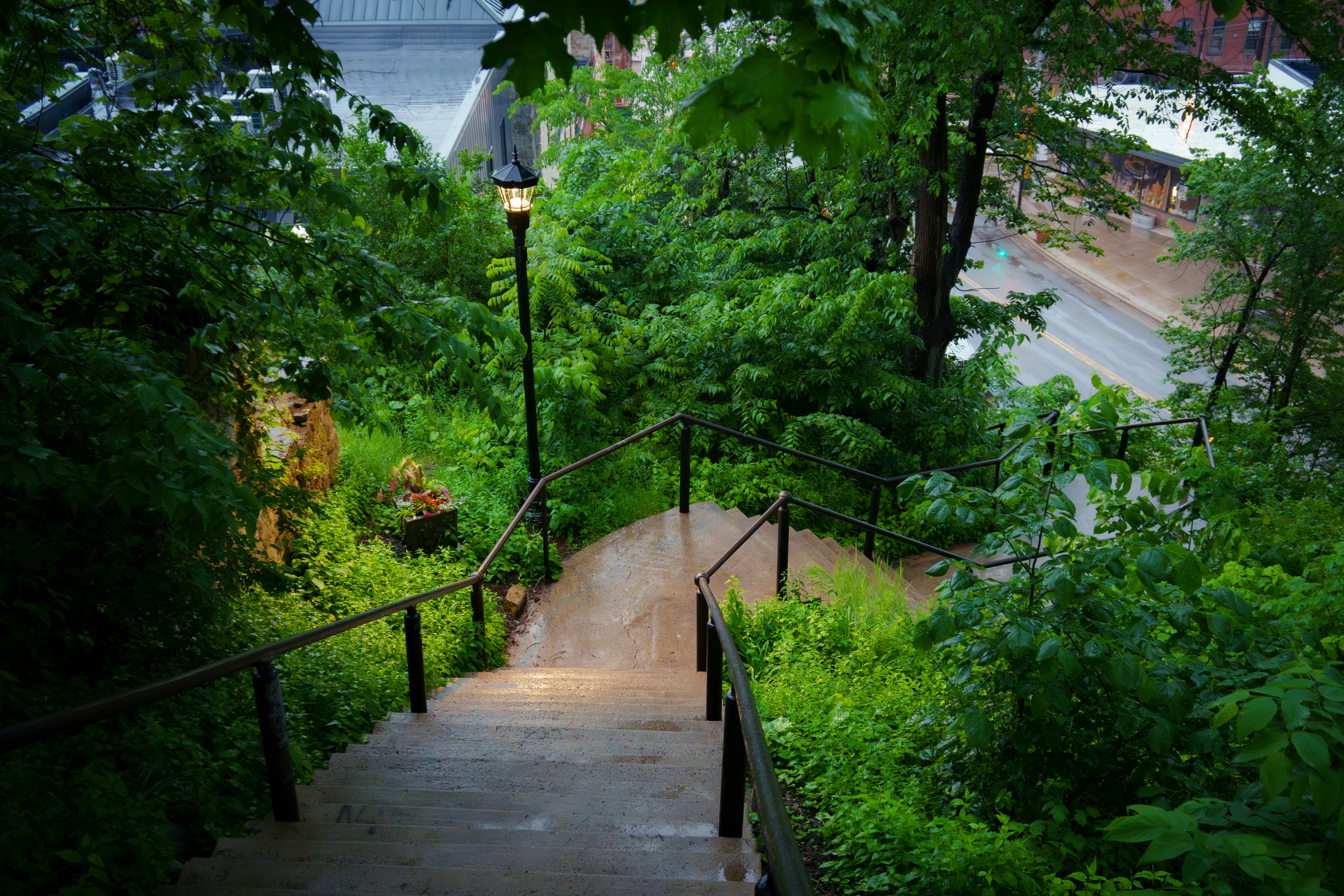 Rain-soaked stairs winding through lush greenery under a softly glowing streetlamp.