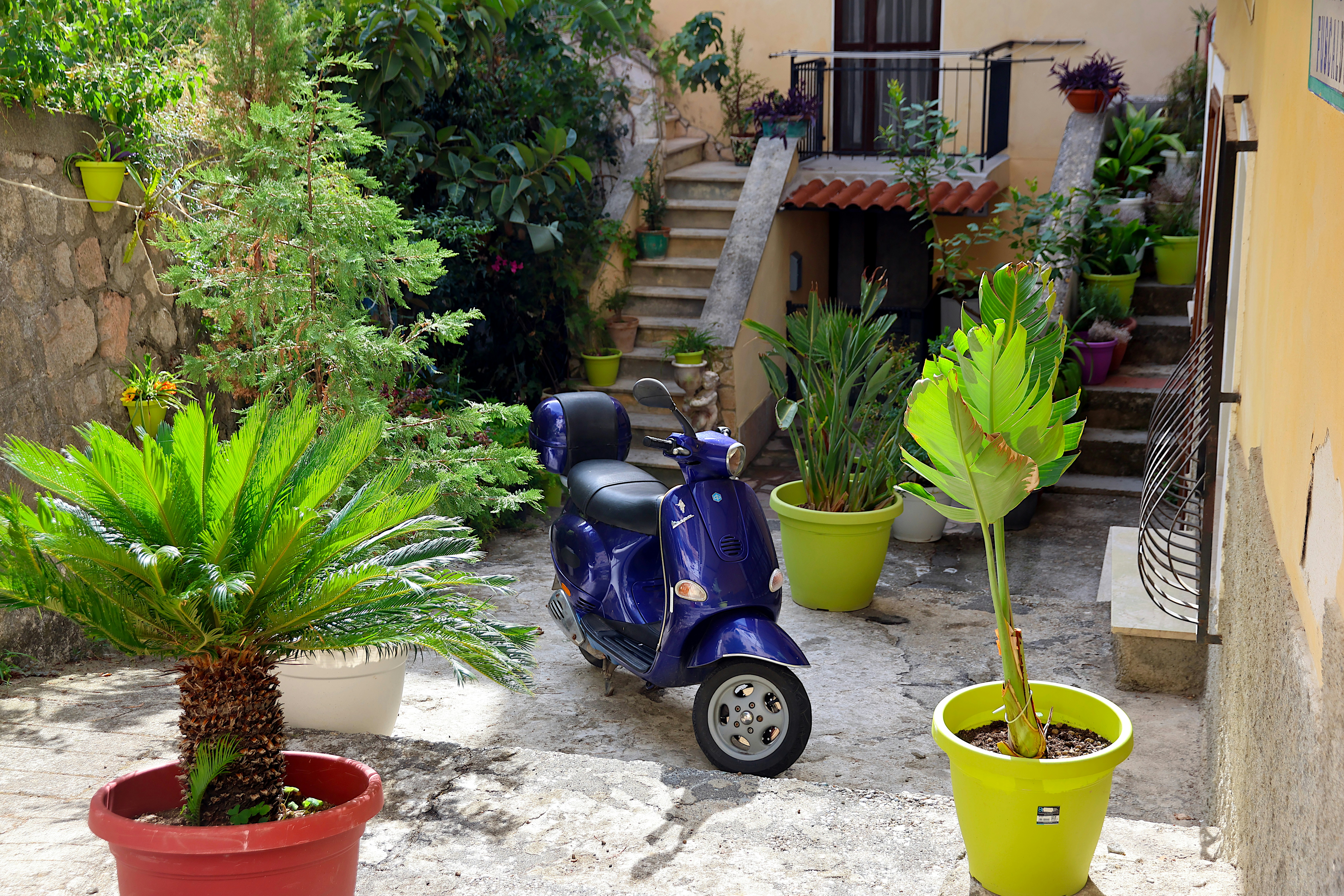 Vespa Oasis: A Blue Scooter Between Potted Palms and Stone Steps