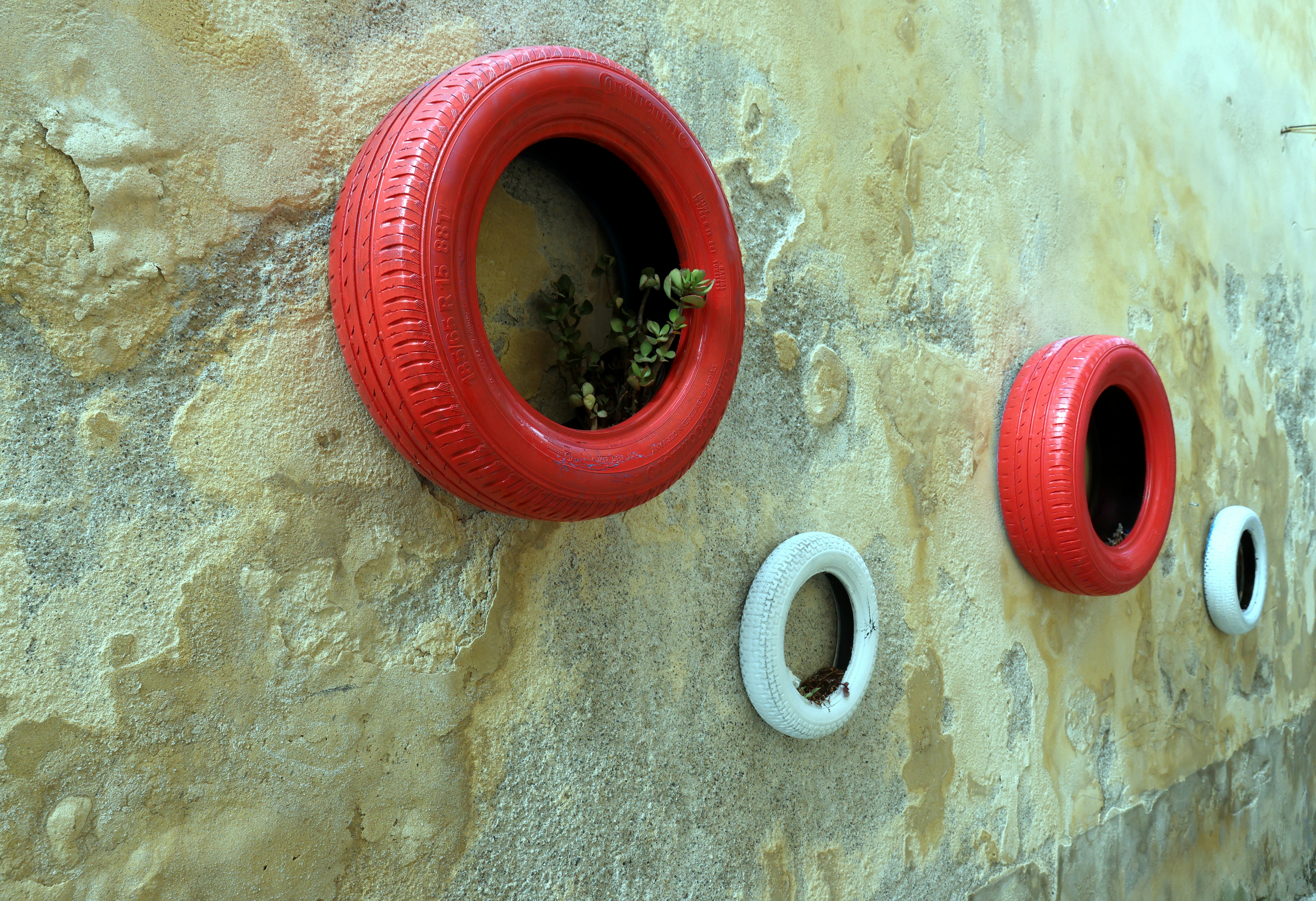 Repurposed Wheels: Urban Wall Garden in Calabria
