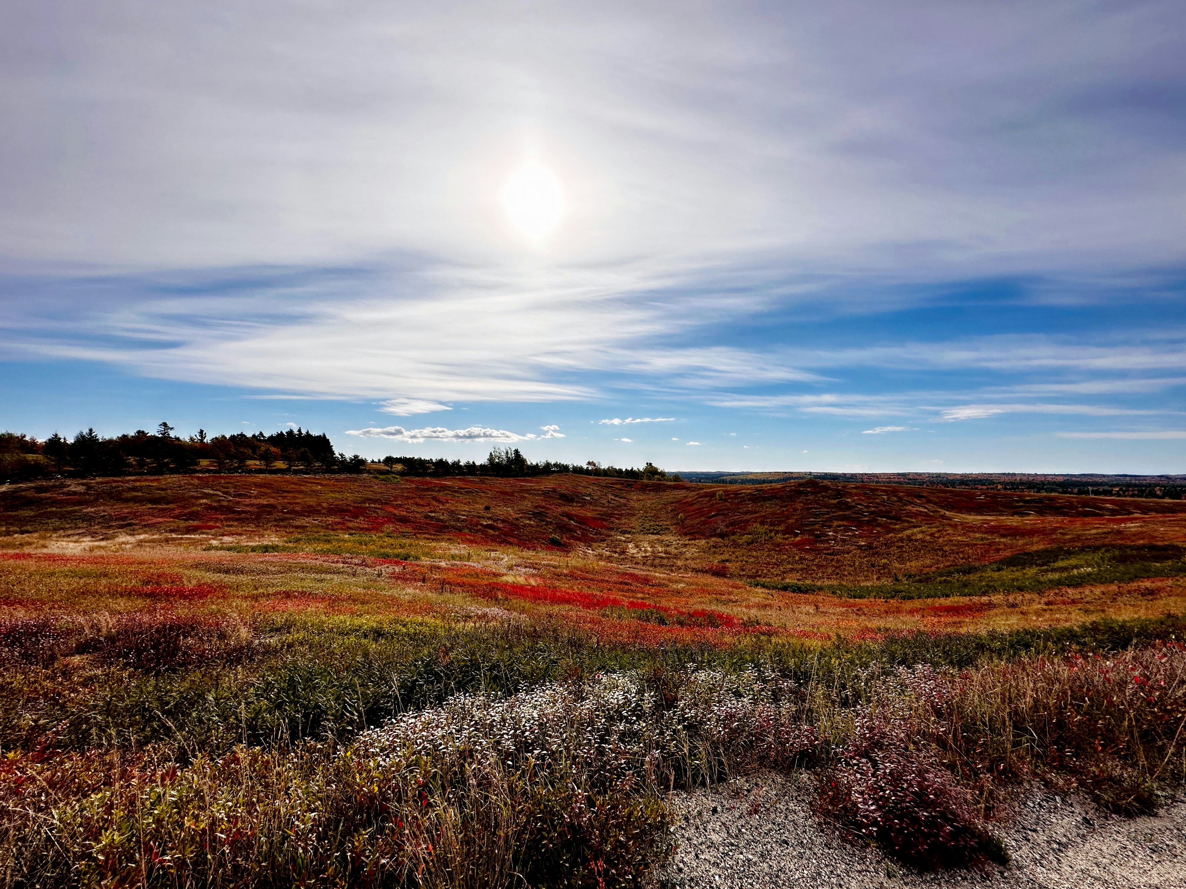 Taru Shukla (@tarushukla) | Unsplash Photo Community