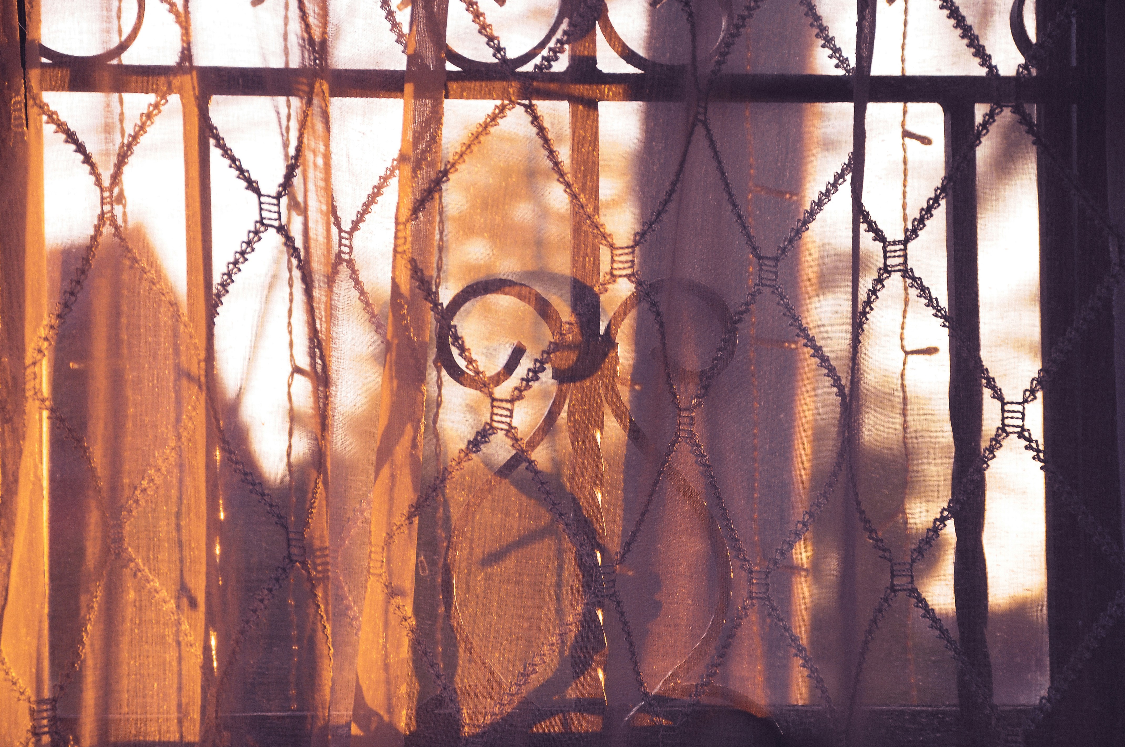 Amber Hour Behind a Lace Veil: Circles in the Iron Fence