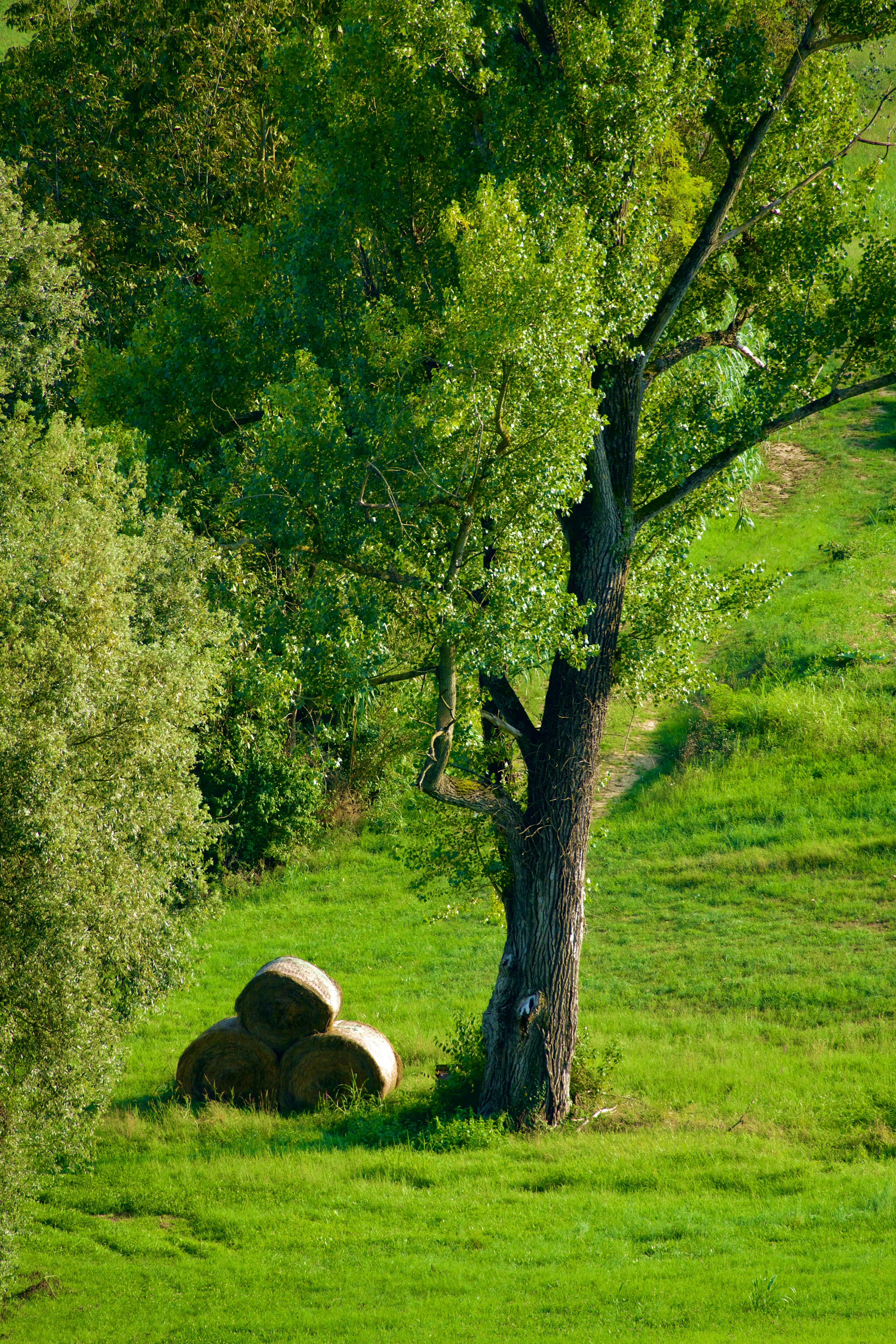 Photo by Jan Zinnbauer with Sony Alpha 6300