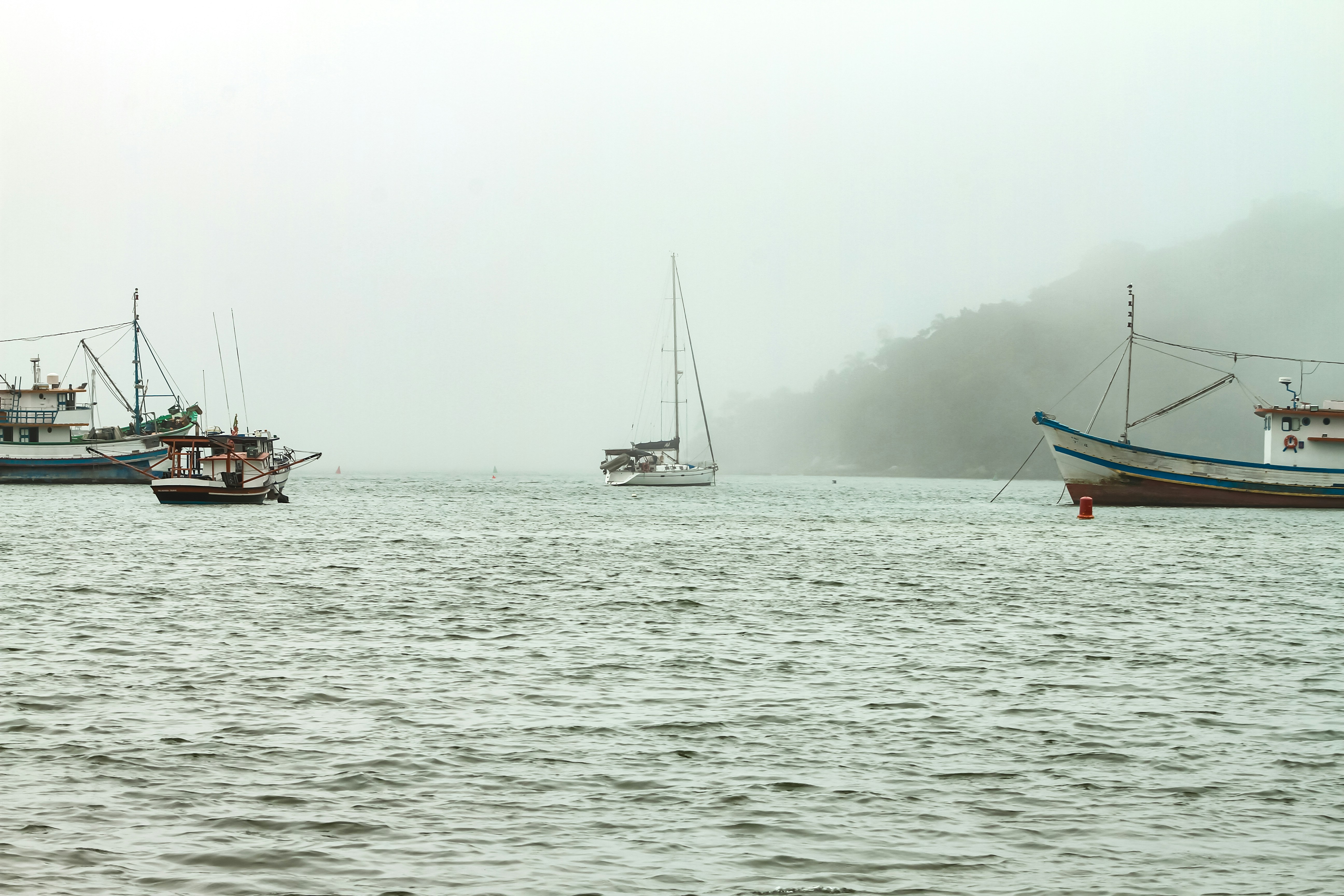 Photo by Guick with Canon EOS 7D