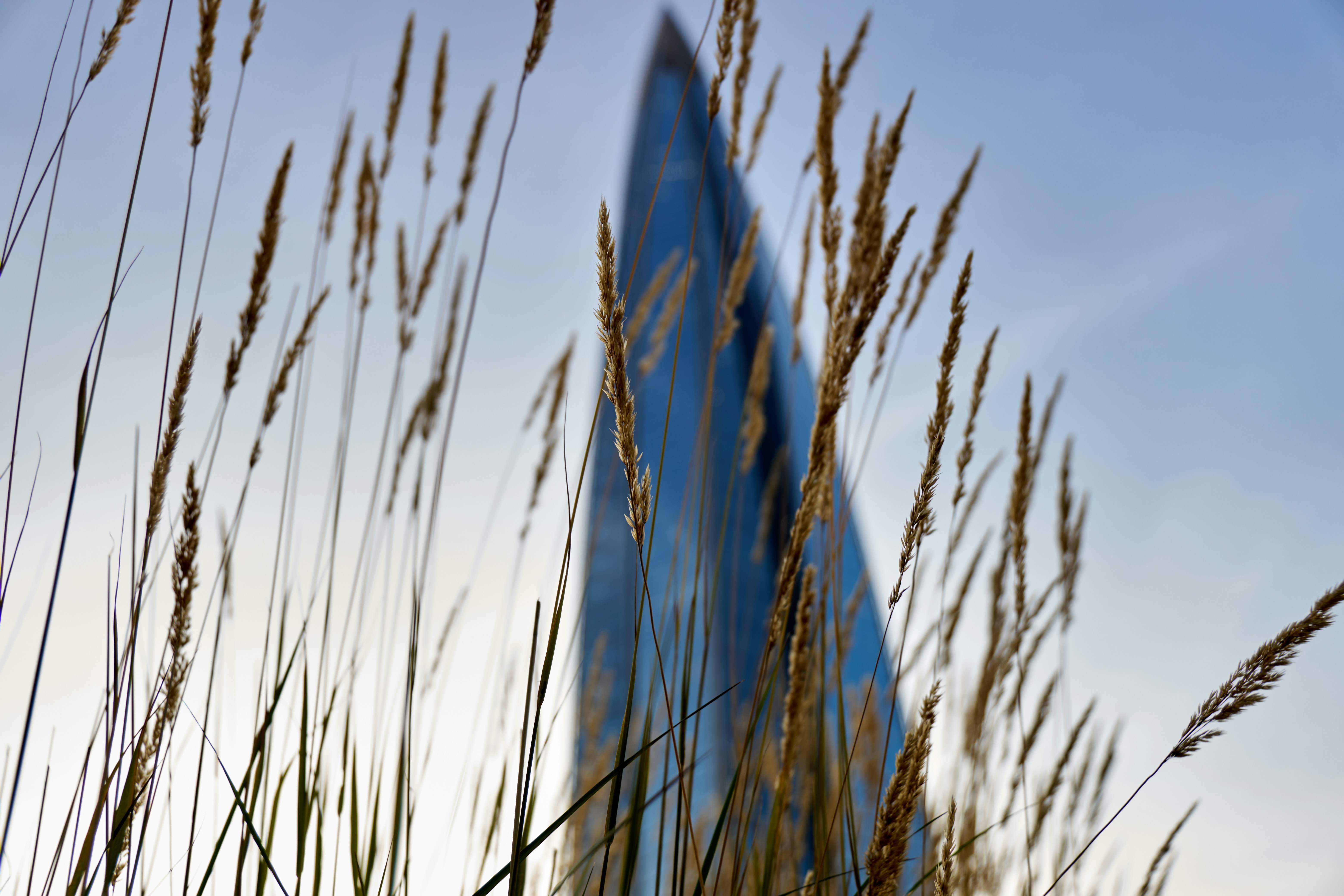 Photo by Andrey Nuraliev with Sony Alpha 7R V