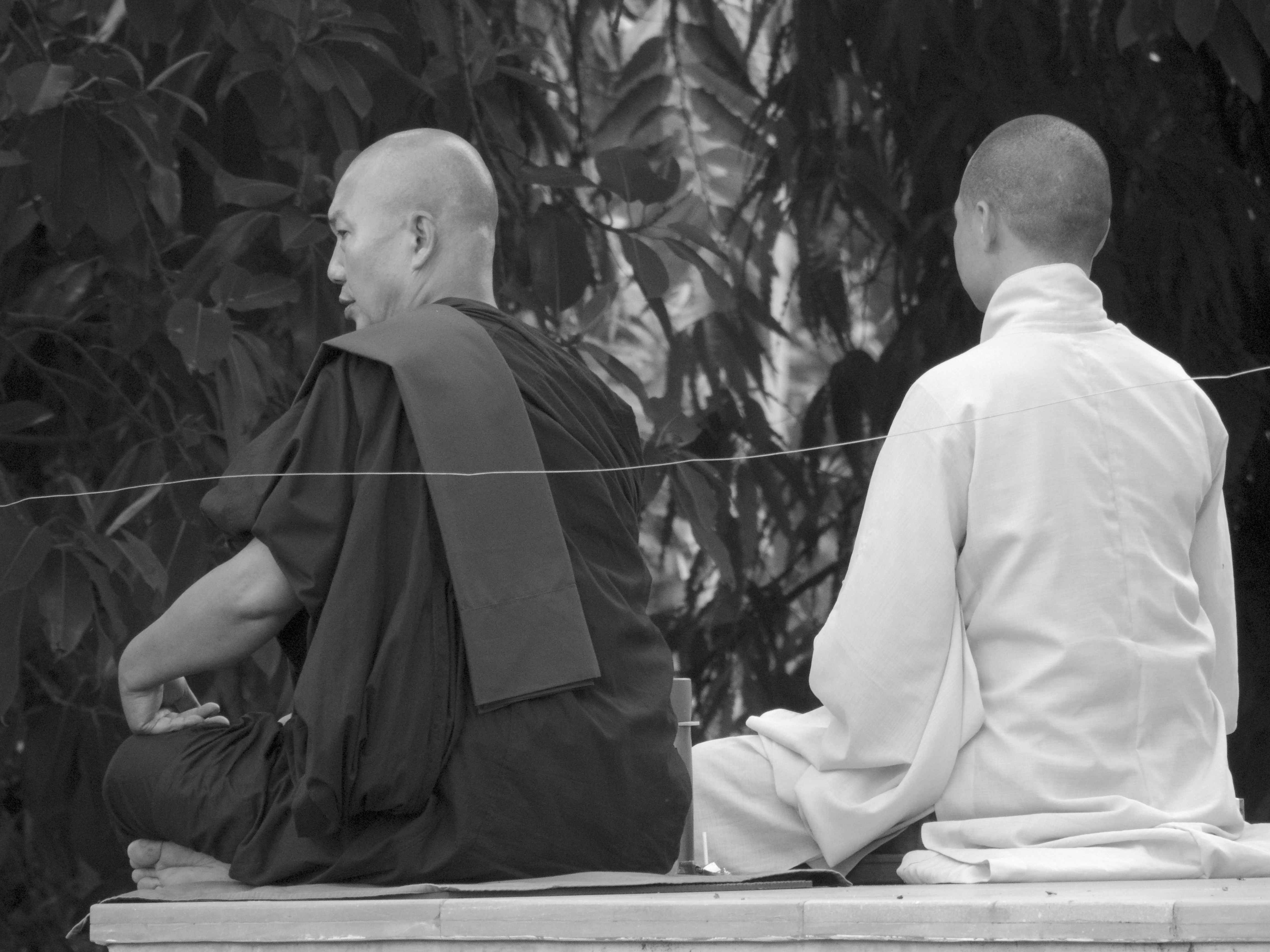 Two monks seated back-to-back, one in dark robes, the other in light, against a backdrop of foliage.