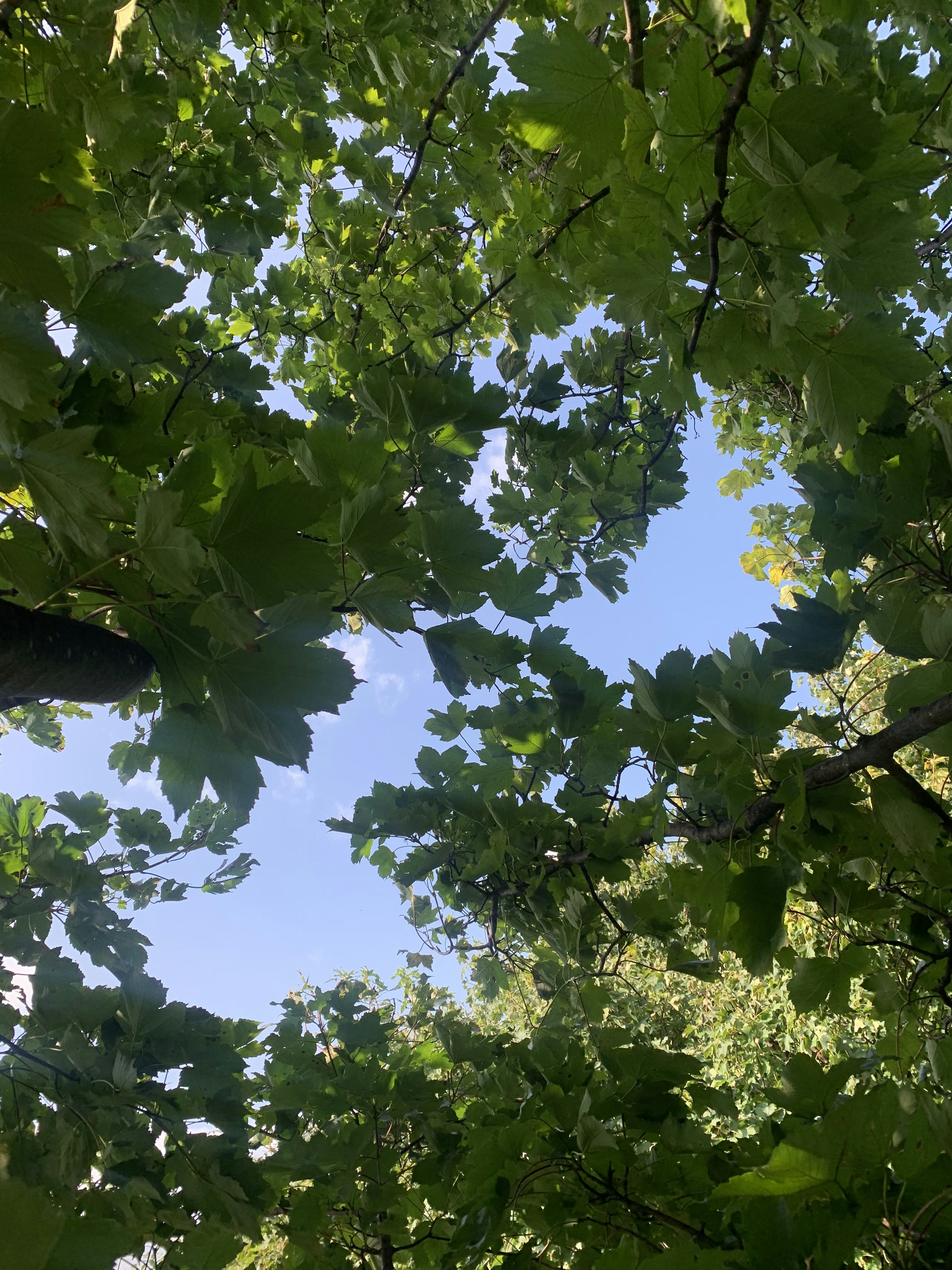 Jasper (@crows_core) | Communauté photos Unsplash