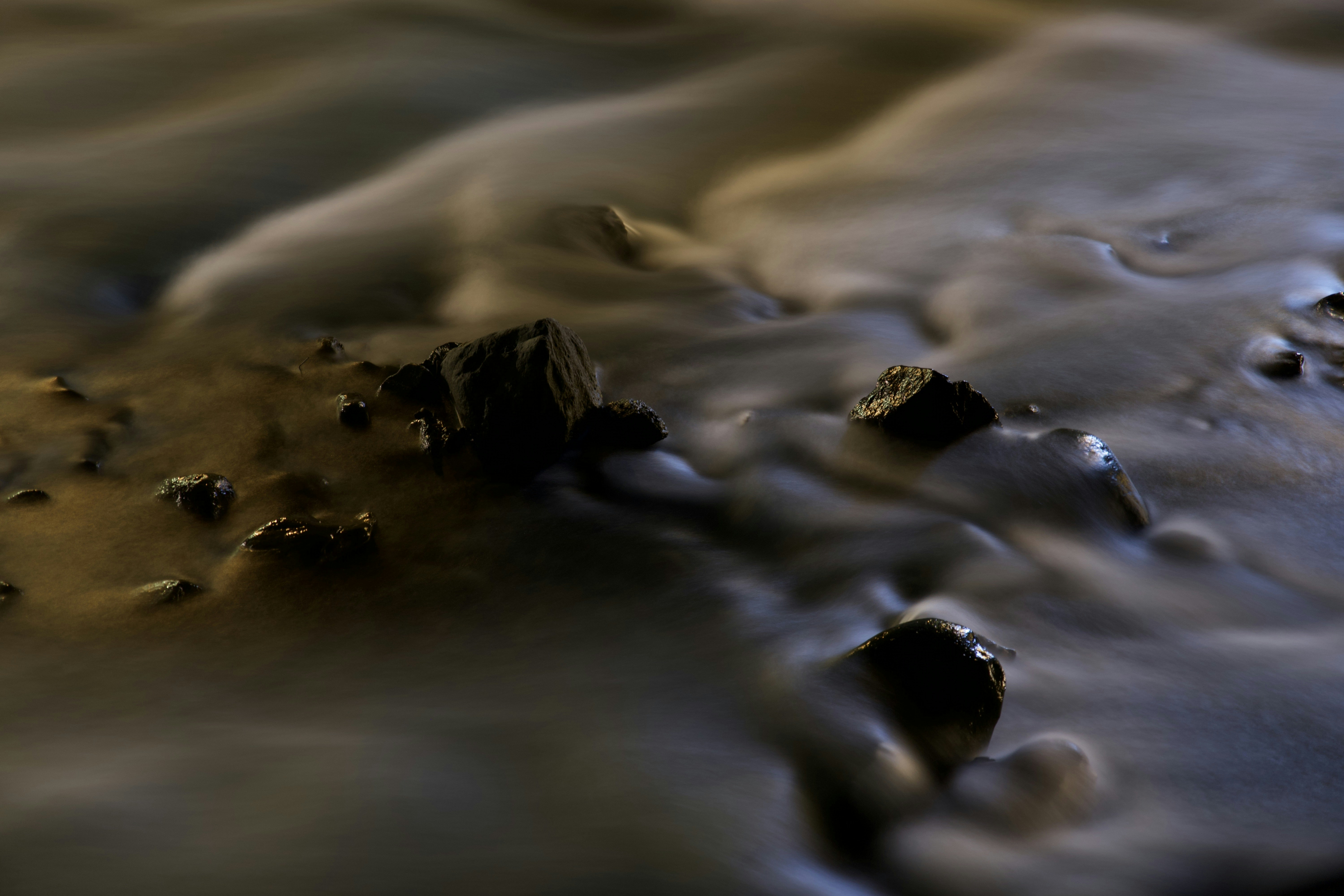 Whispers of the Tides
