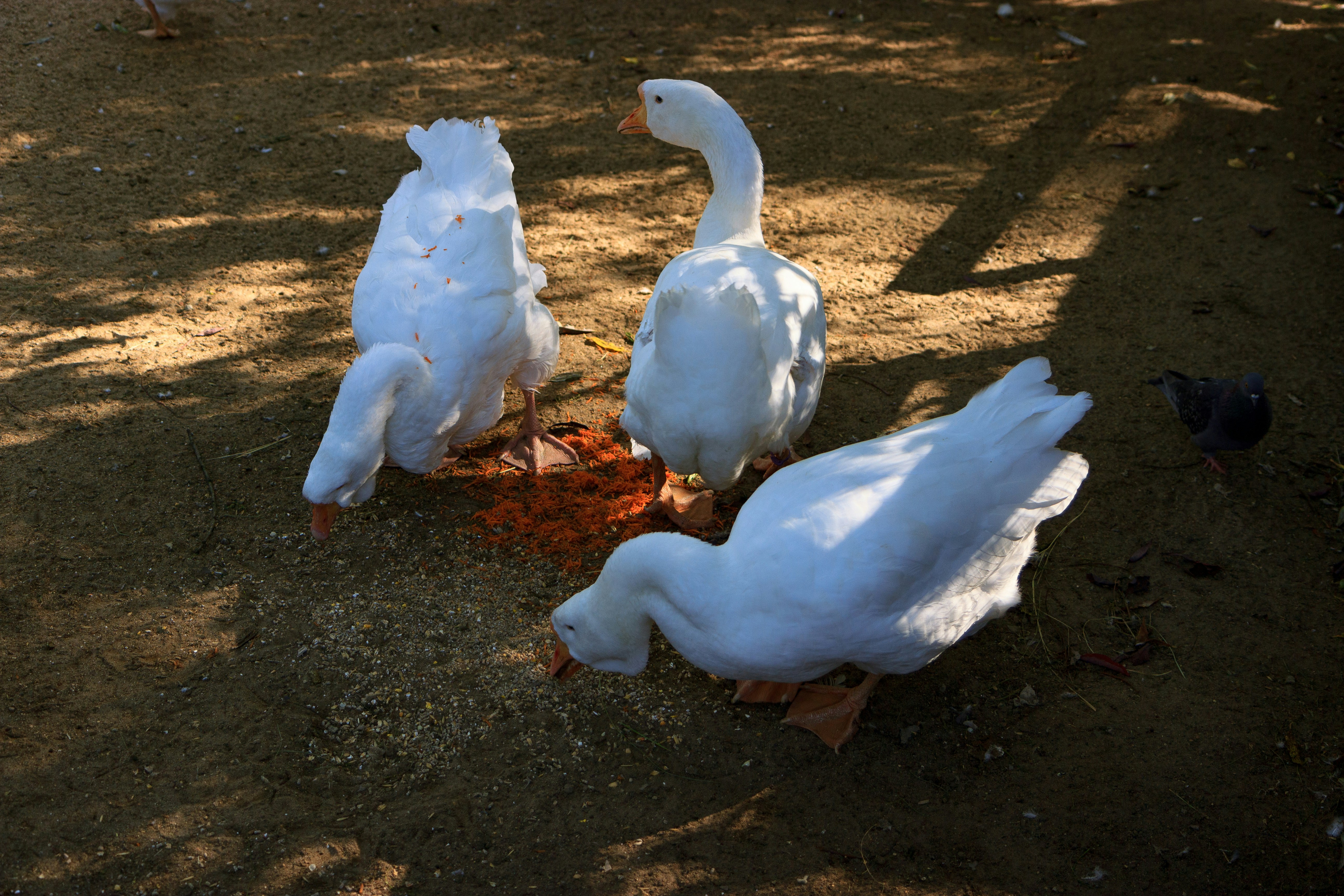 Photo by Andrey Vavilkin with Canon EOS 600D