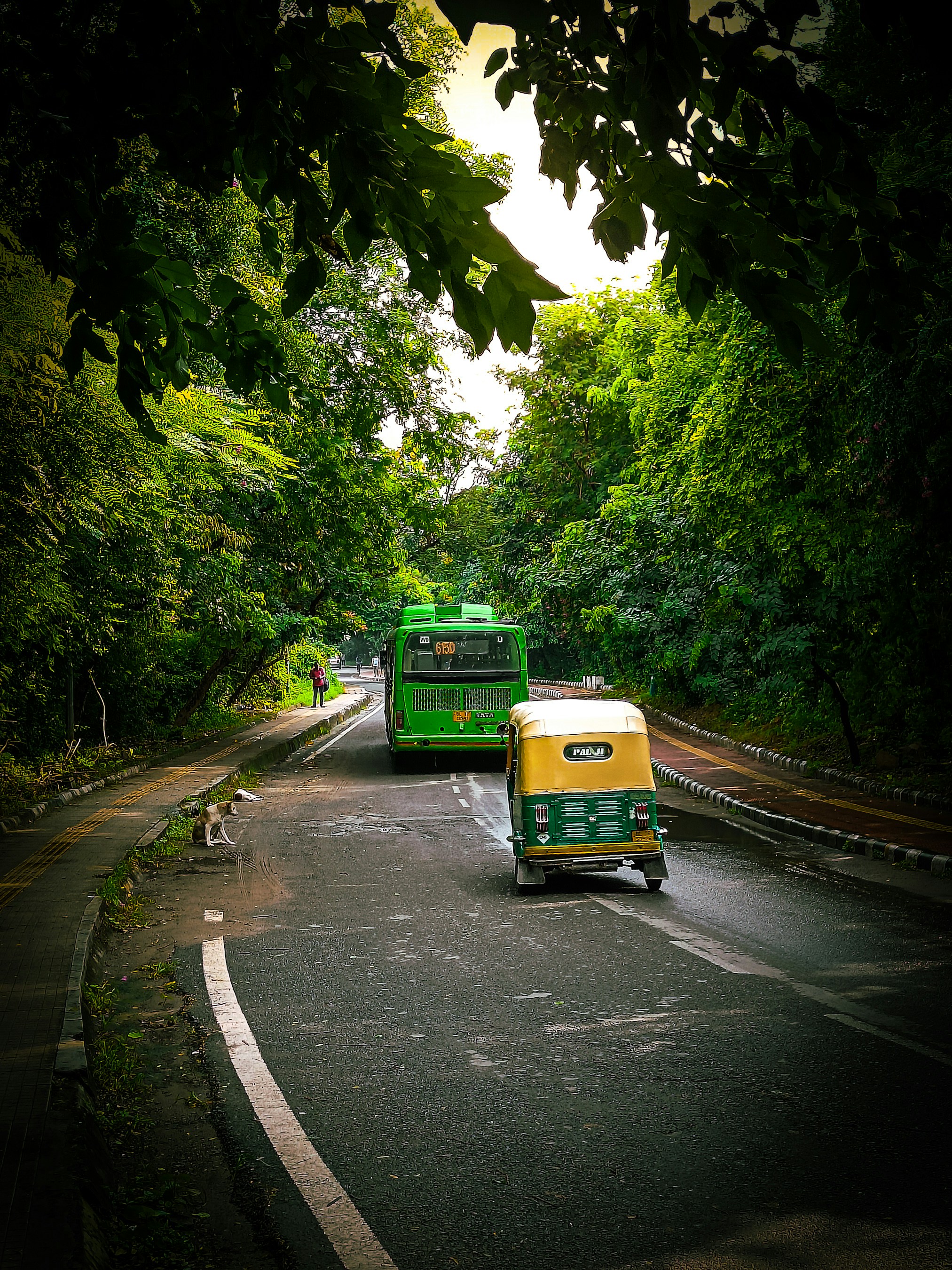 Tree-lined street scene with a yellow auto-rickshaw in the foreground and a green bus in the distance on a damp road.