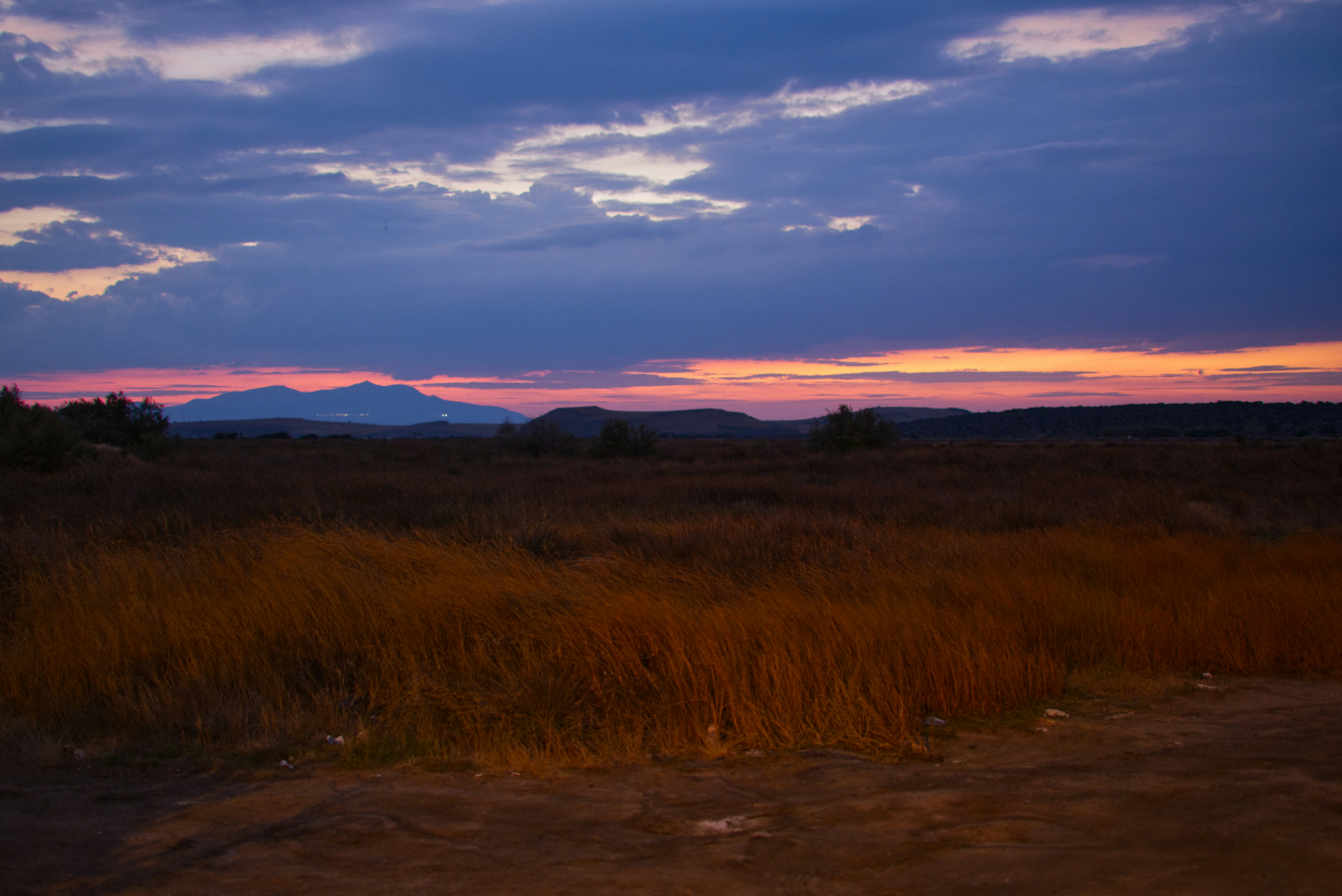 Horizon Ember: Dusk Over the Prairie Grass