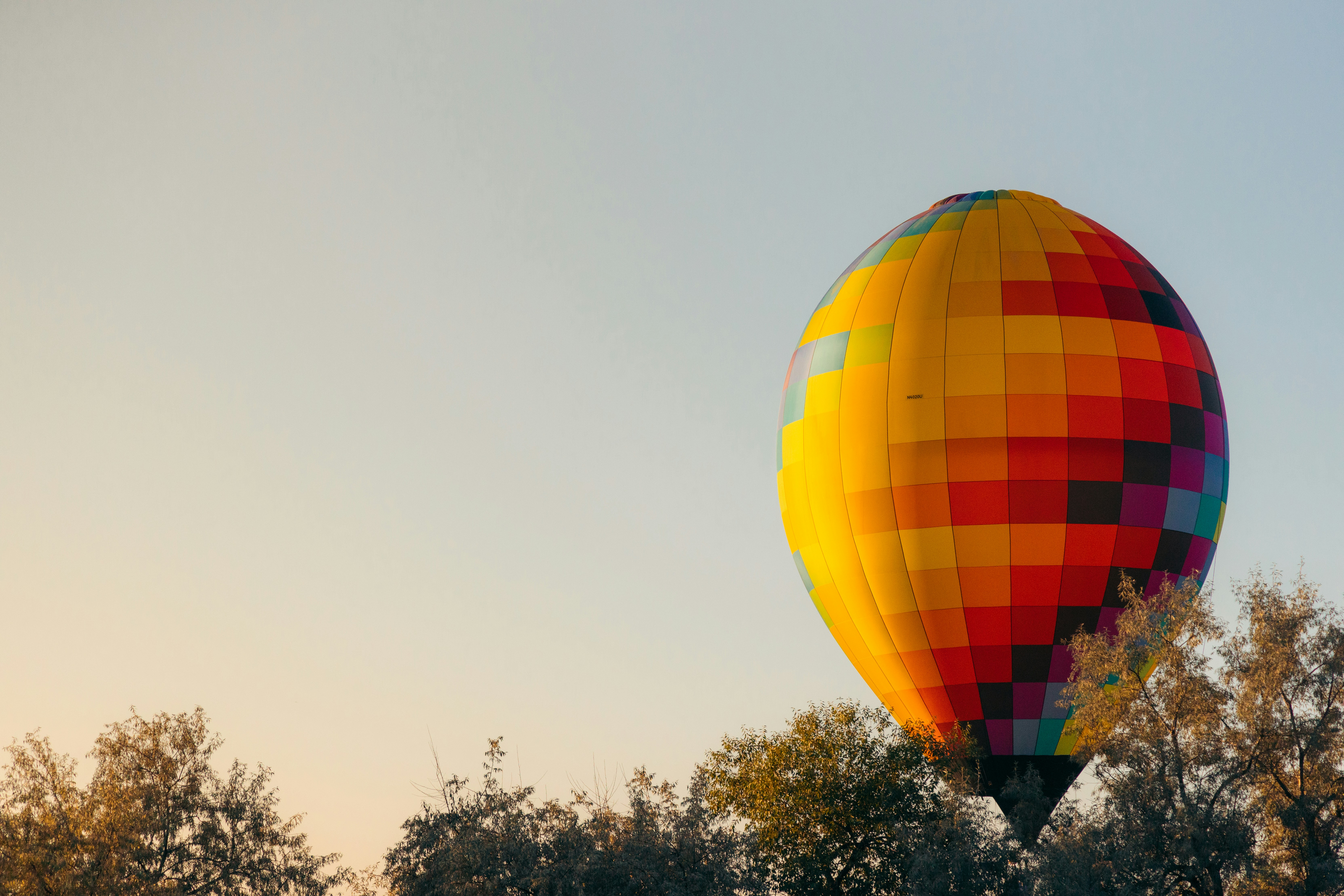 Patchwork Balloon Drifts Above the Golden Treeline