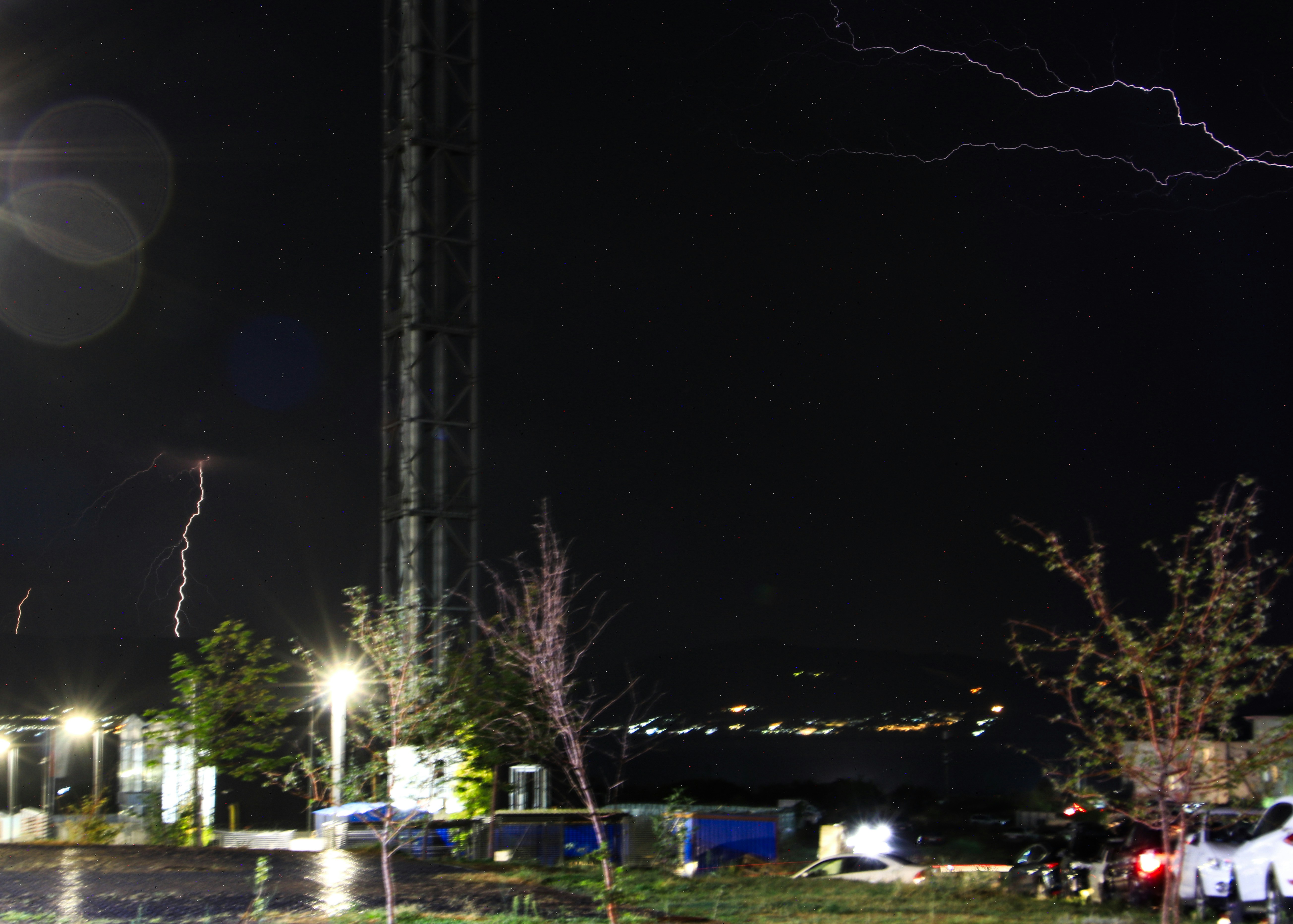 Lightning Fractals Over a Waterfront Park at Night