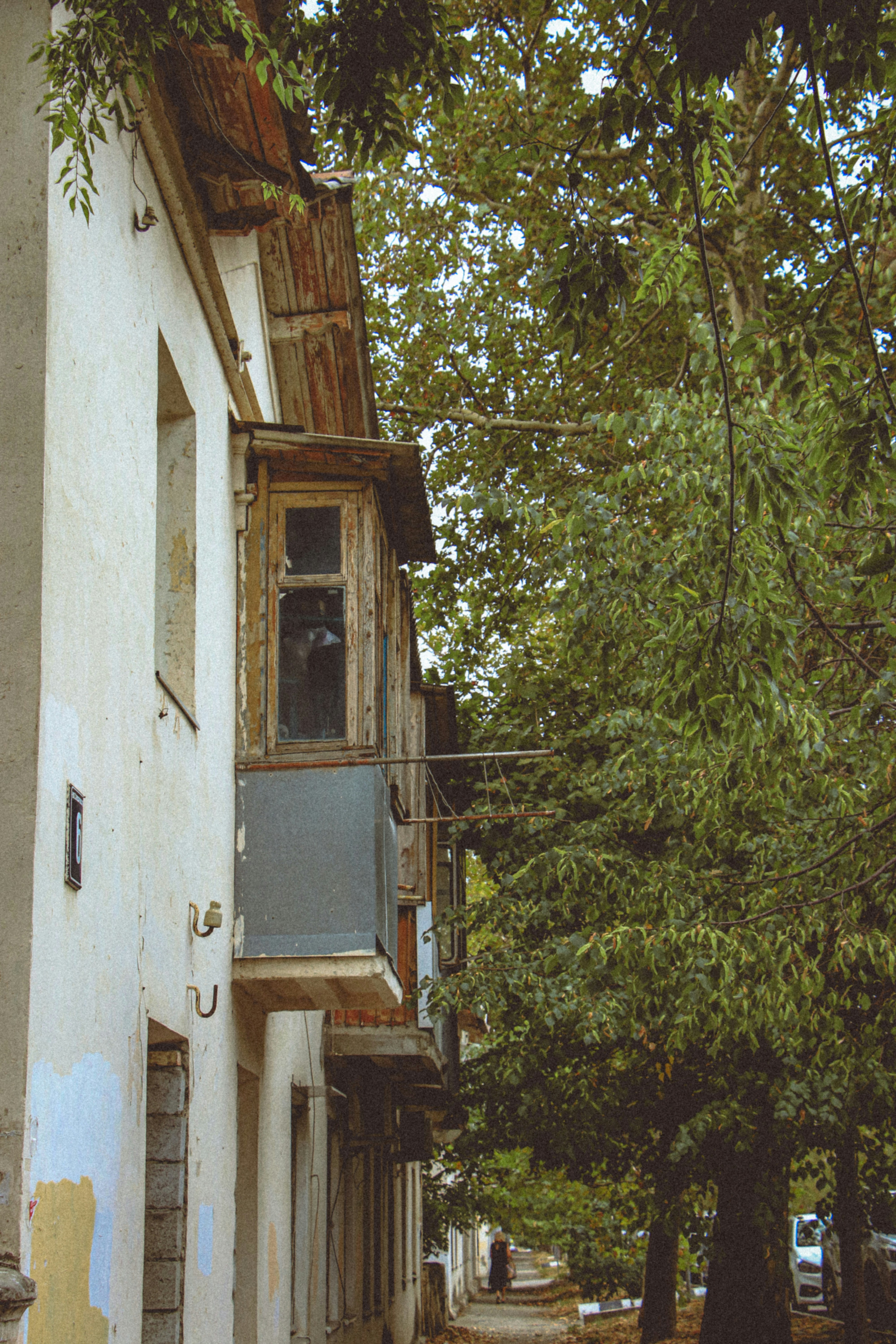 Photo by Khristina Sergeychik with Canon EOS 80D