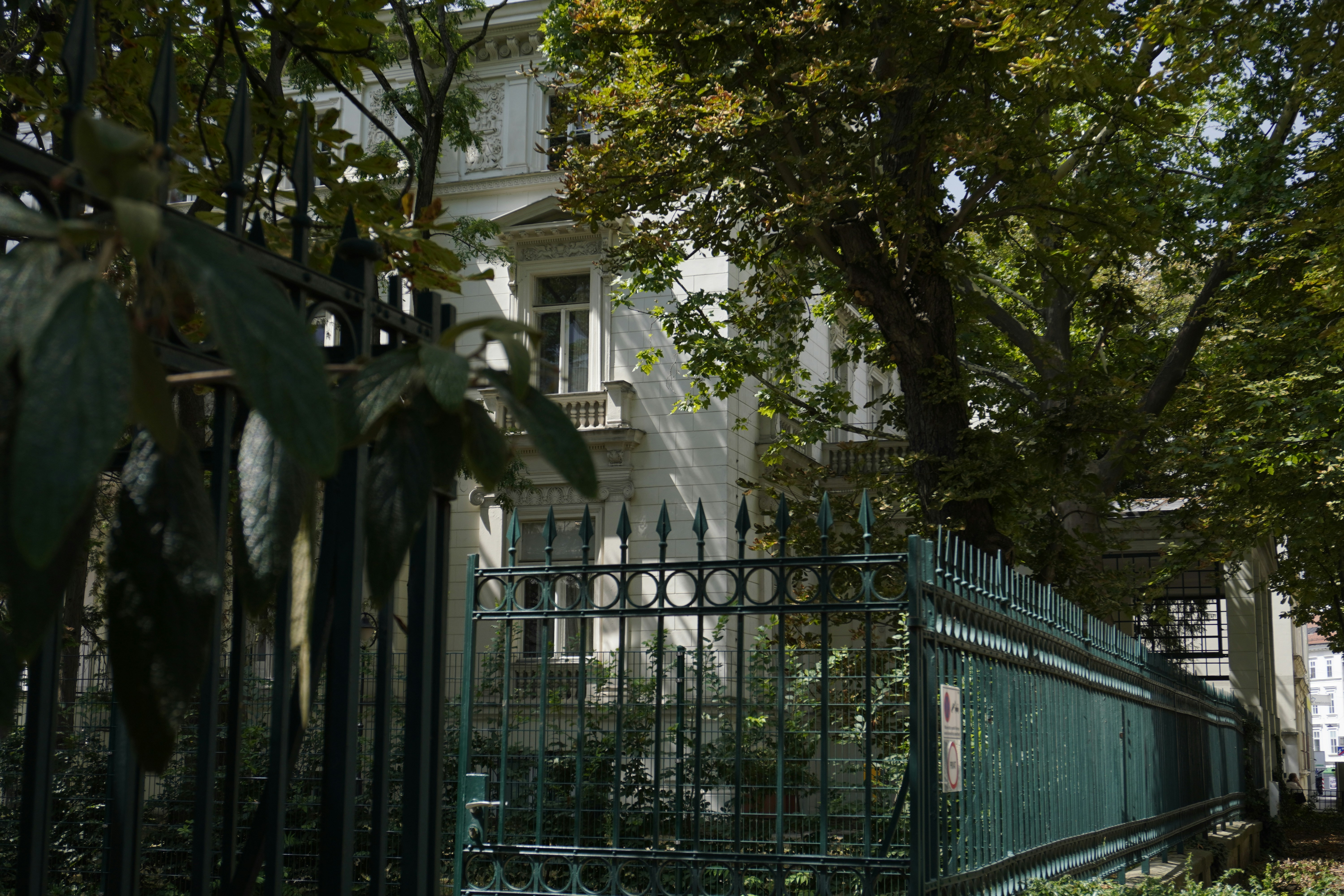 Wrought-iron Boundary under Dappled City Shade