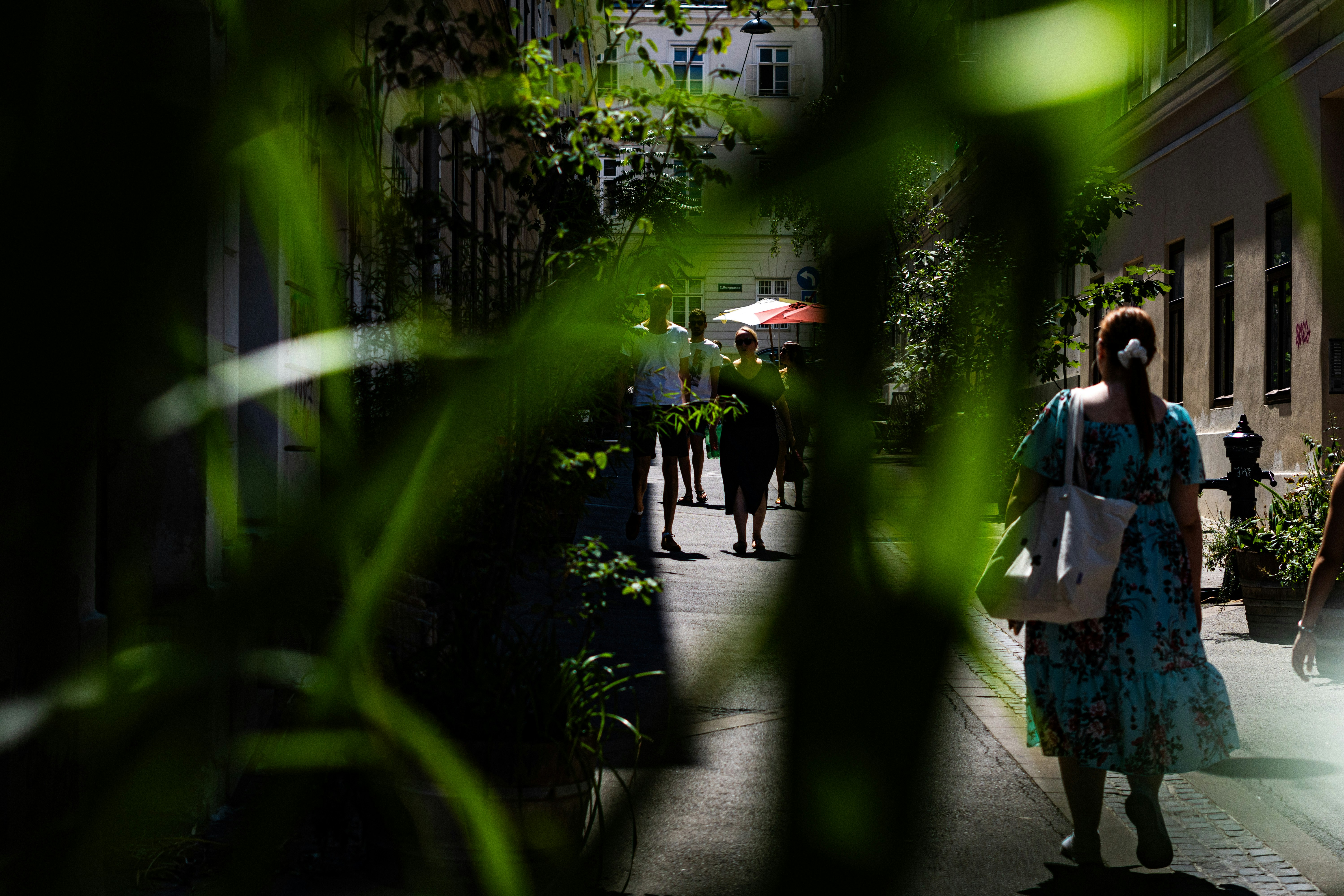 Fern-Framed City Walk: Sunlit Moment Beyond the Leaves