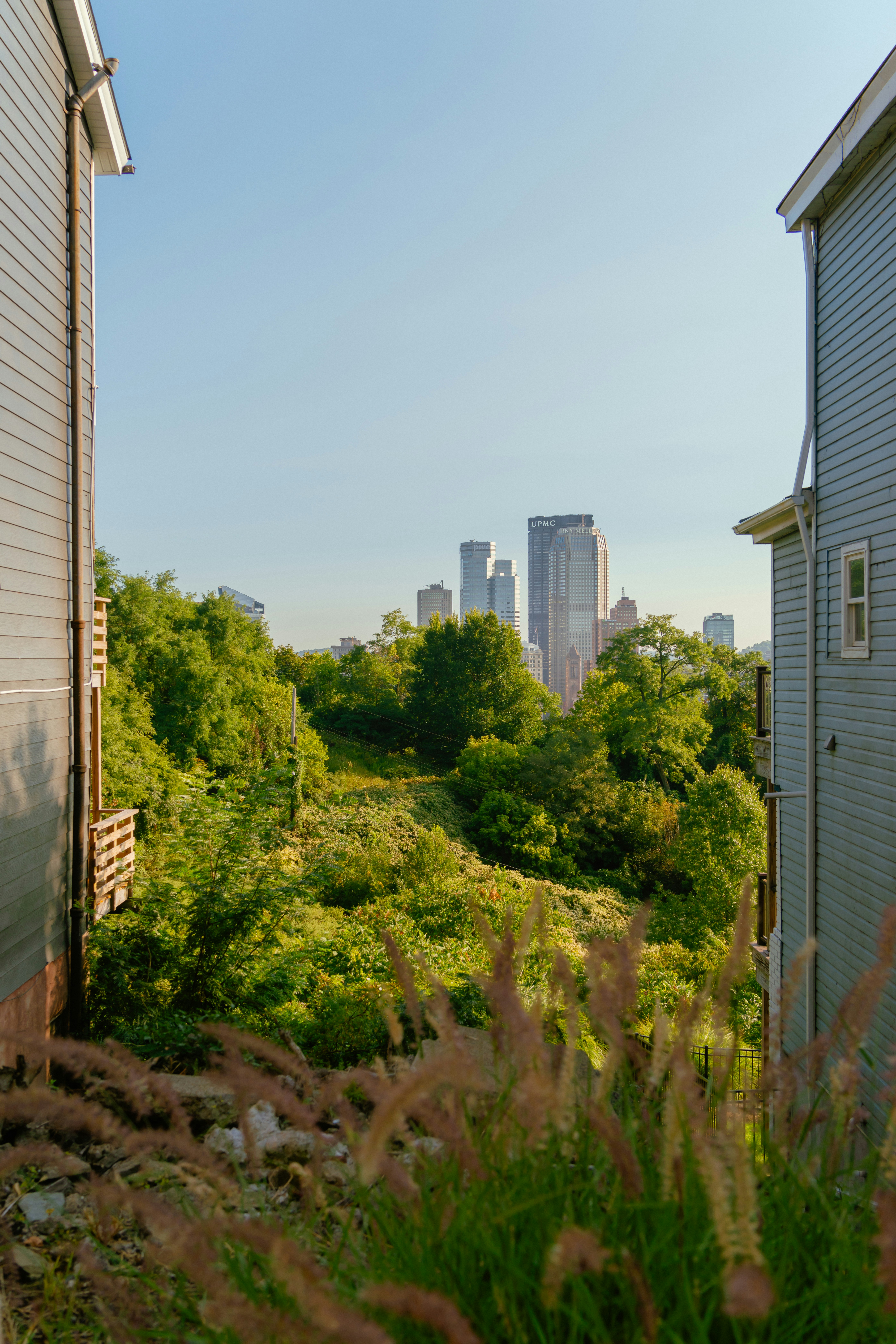 City Skyline Emerges Beyond a Green Corridor Between Narrow Dwellings