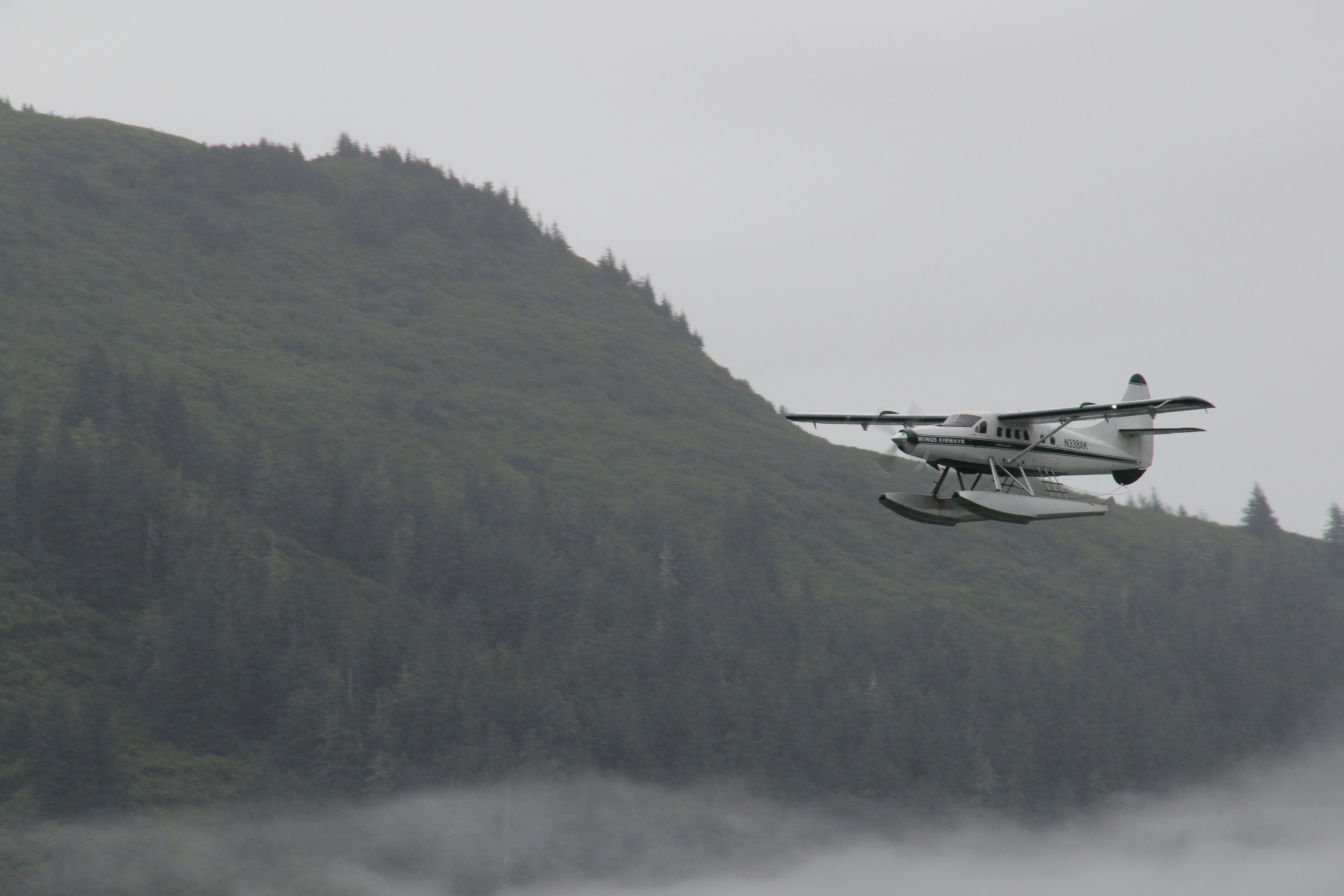 Mistbound Seaplane: A Quiet Glide Across Fog and Pines