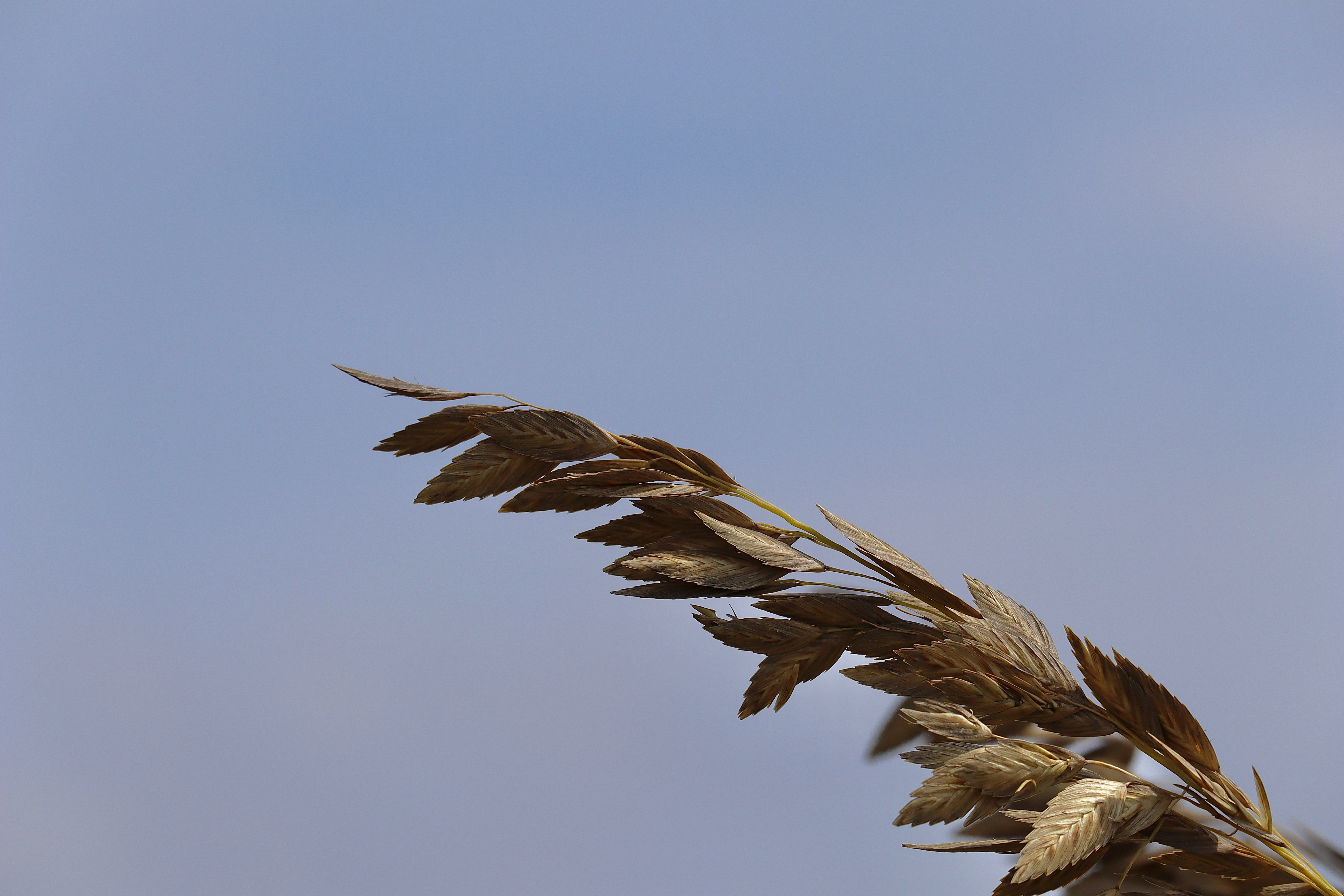 Photo by Rebecca Johnsen with Canon EOS M50