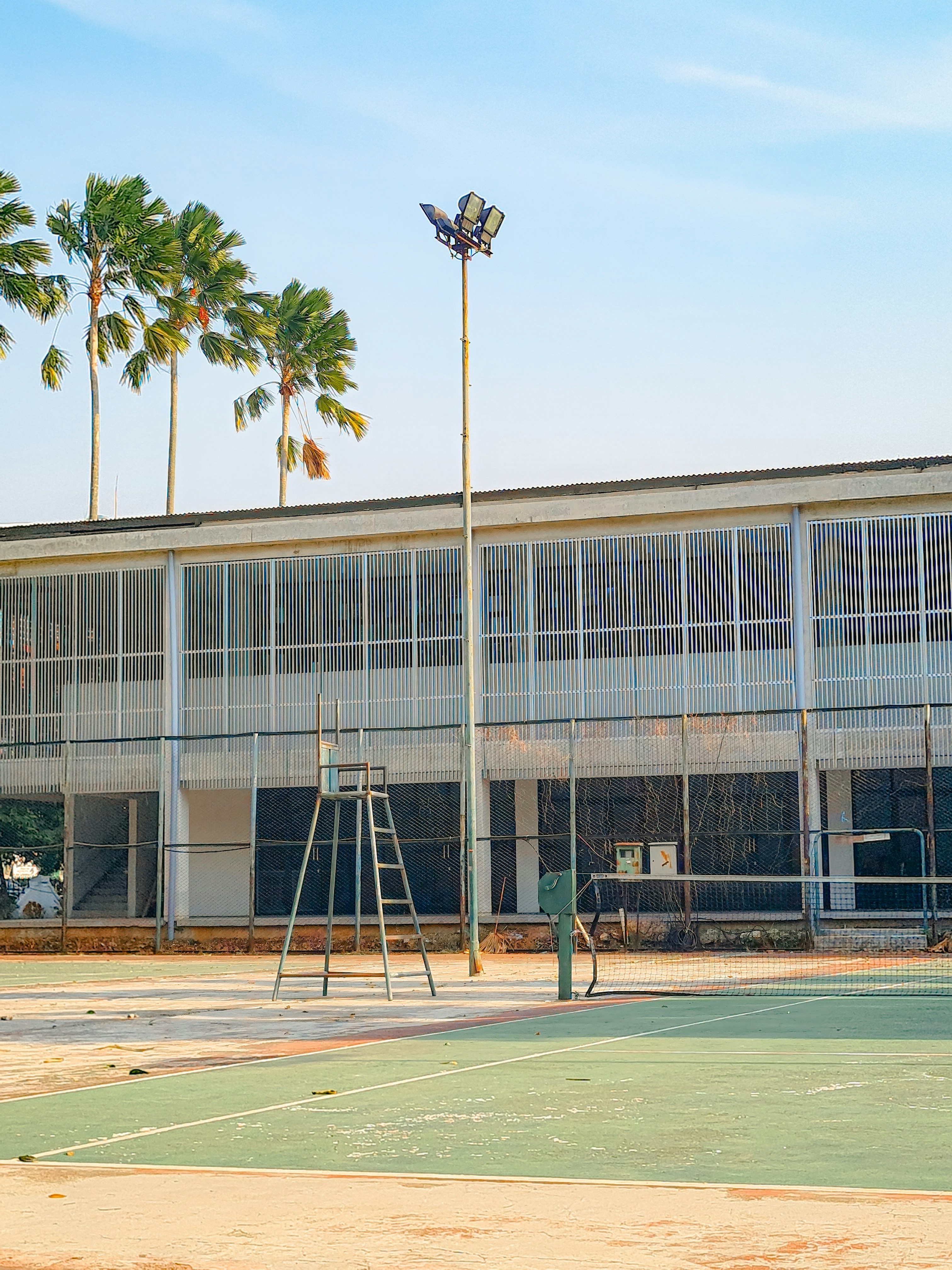 Lone Floodlight Over an Idle Court Beneath Palms
