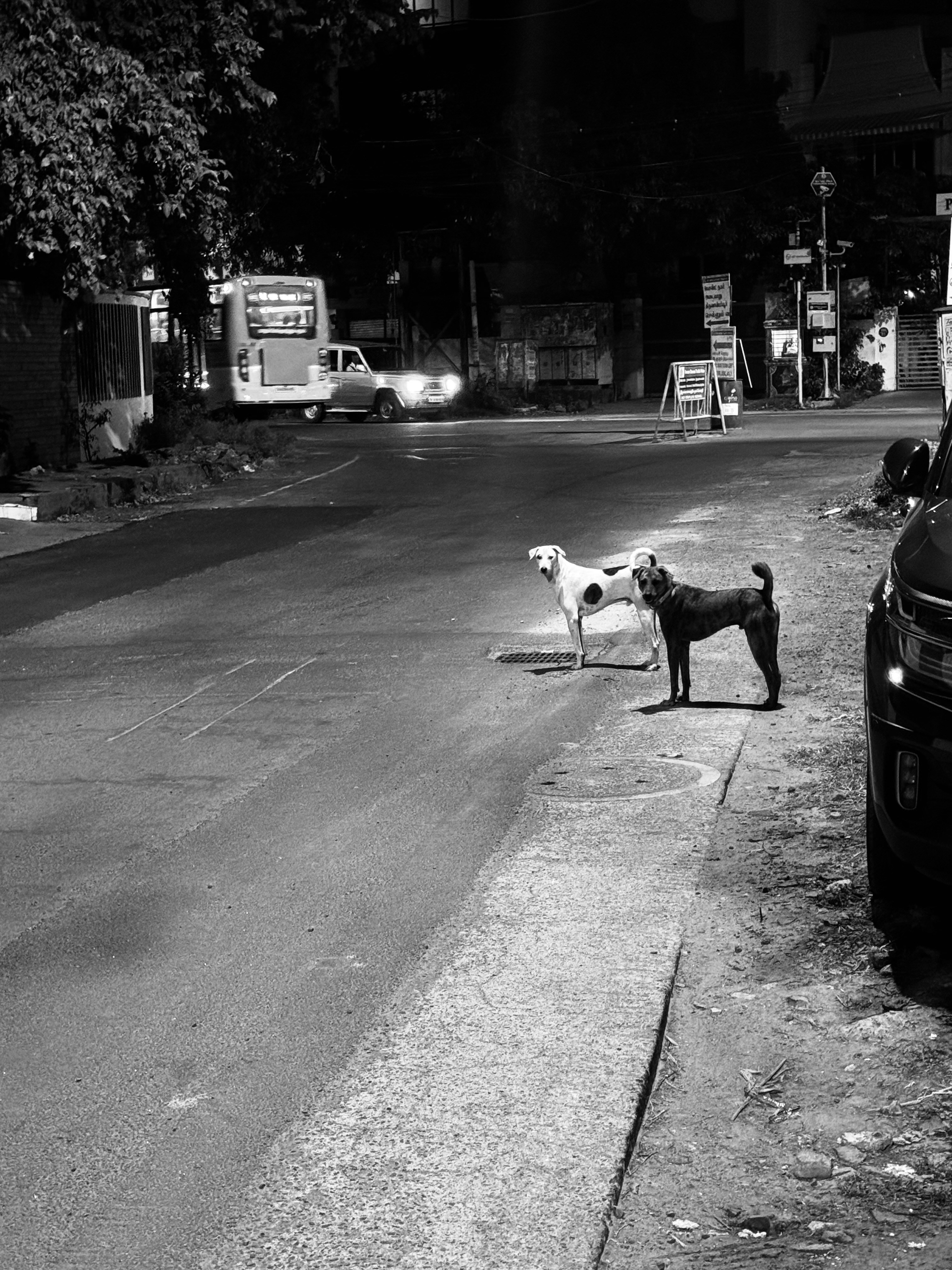 Photo by Arvind Mahesh with Apple iPhone 15 Pro Max