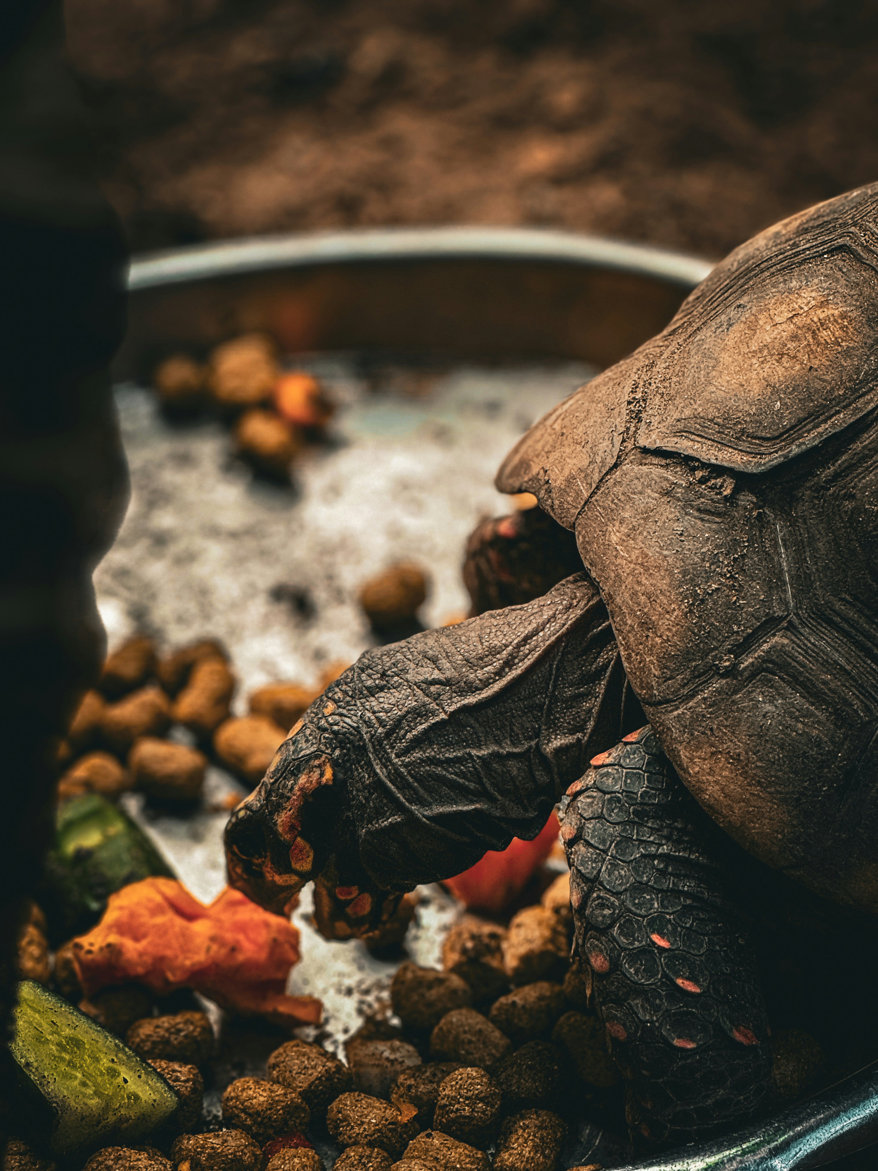 Photo by Suban Karunalingam with Apple iPhone 15 Pro