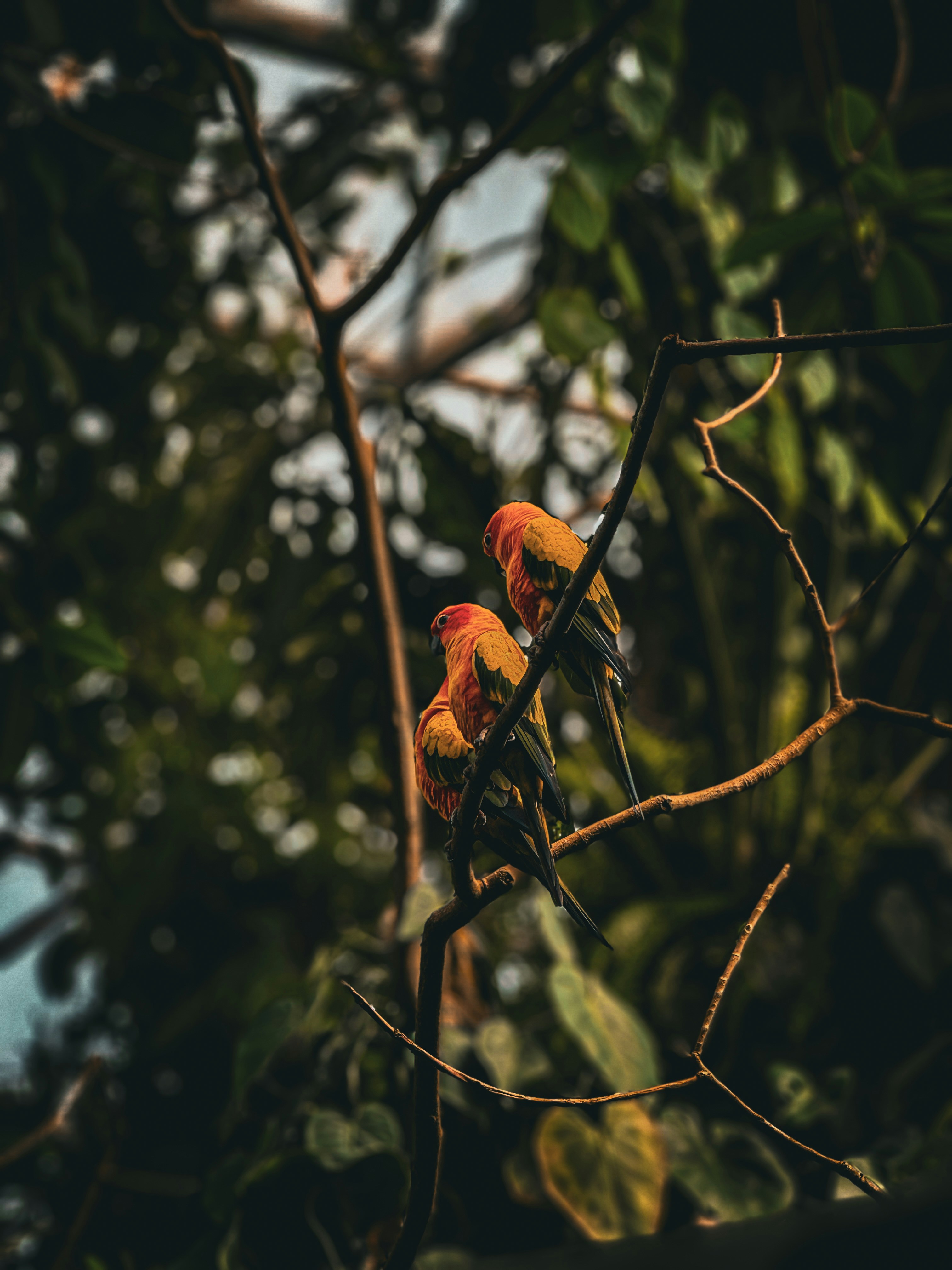 Photo by Suban Karunalingam with Apple iPhone 15 Pro